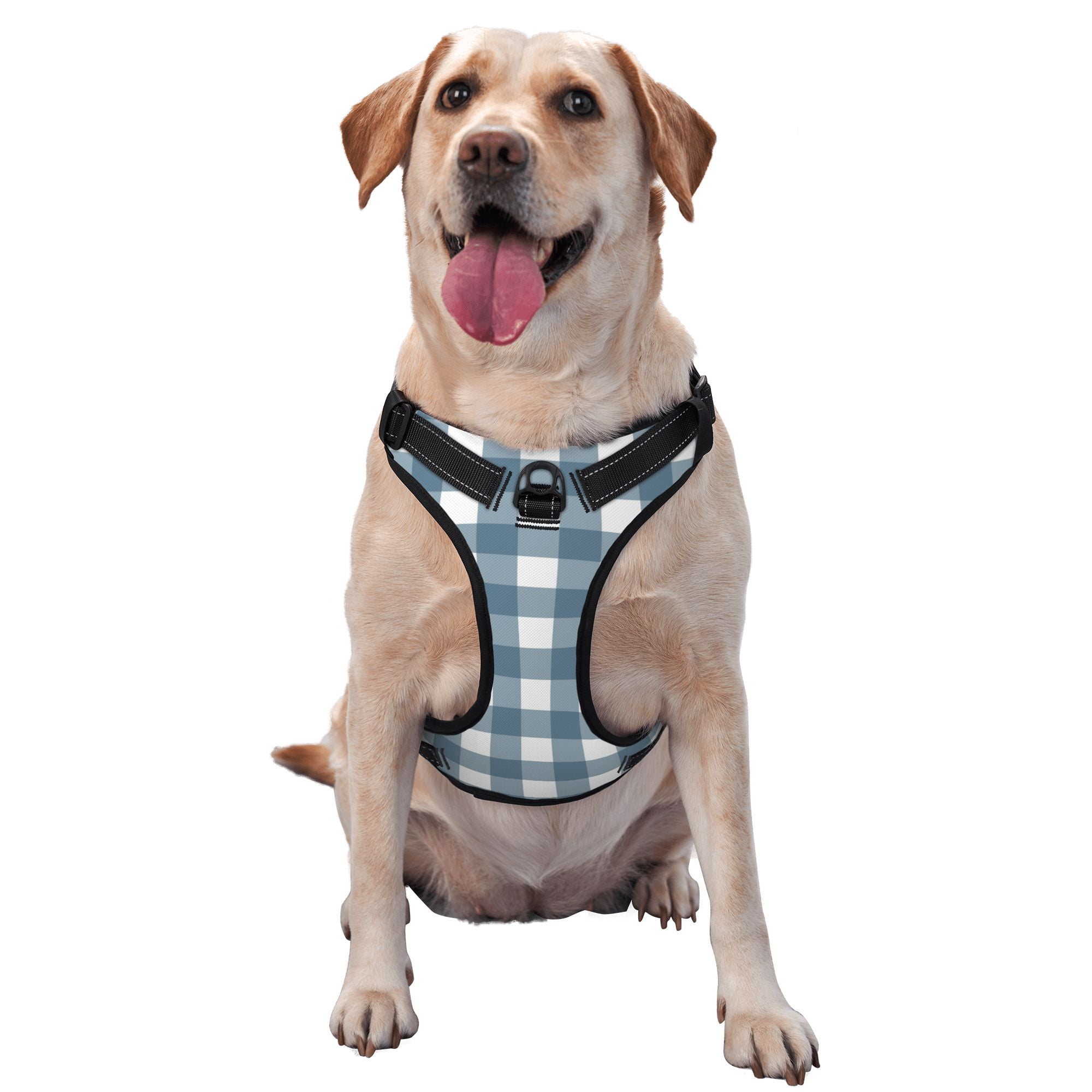XMXY No Pull Dog Harness, Blue Plaid Printed Adjustable Reflective Pet ...