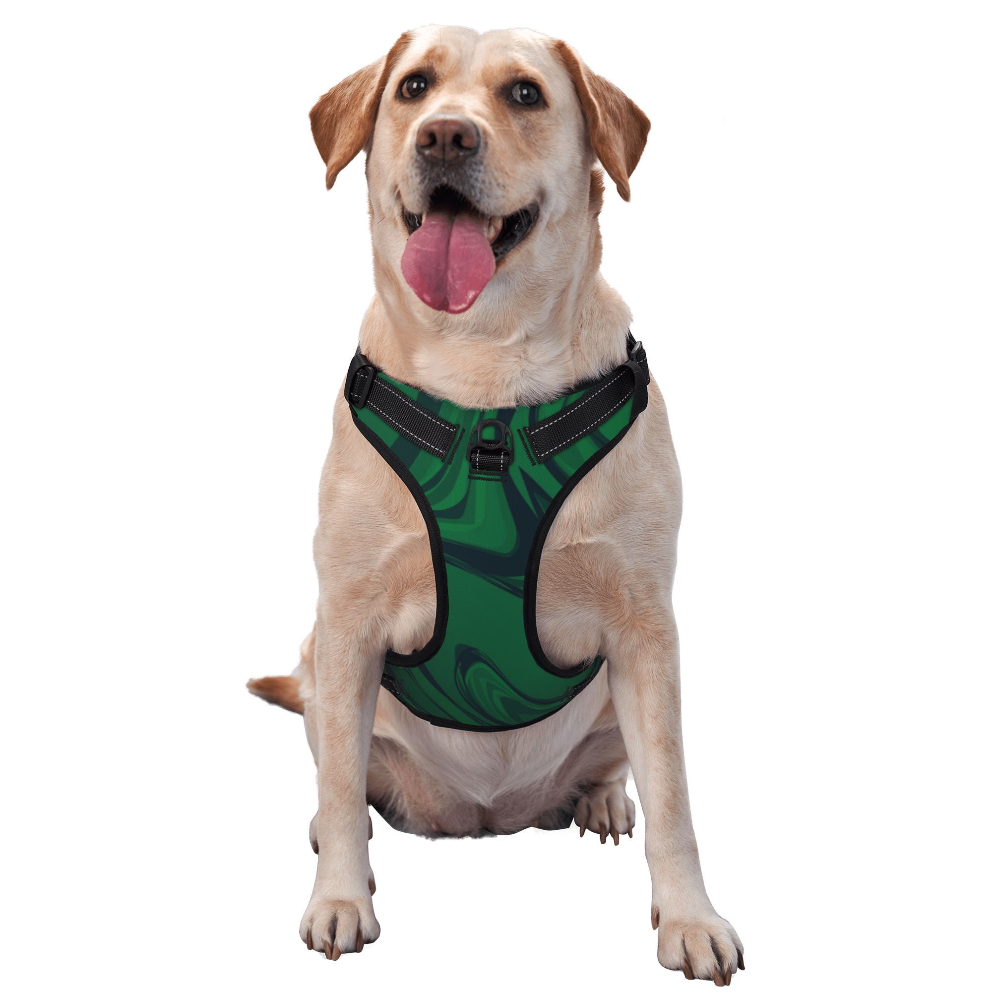 XMXY No Pull Dog Harness, Gradient Emerald Abstract Line Adjustable ...