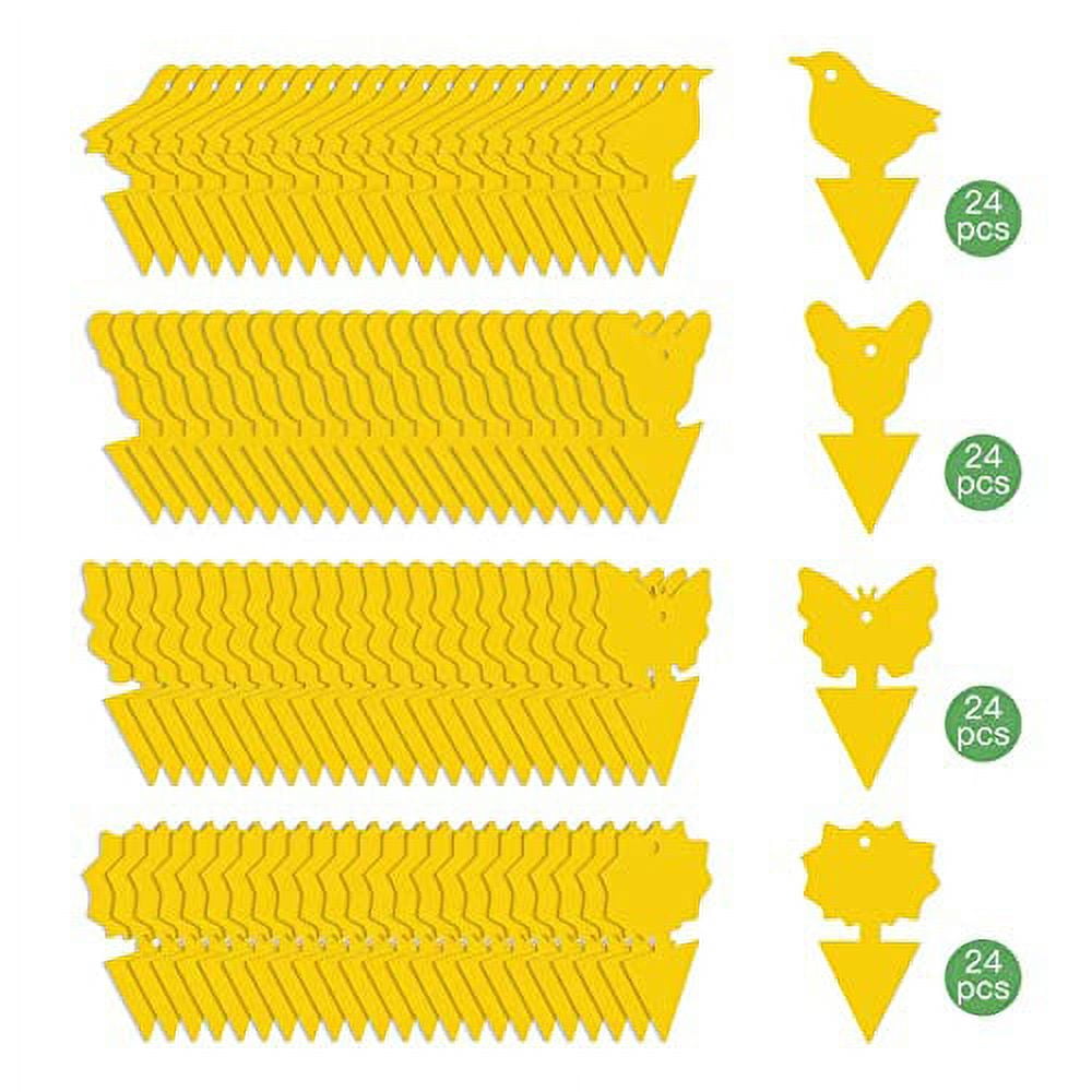 XNFUD 96 Pcs Sticky Traps for Fruit Fly,Whitefly,Fungus Gnat,Mosquito ...