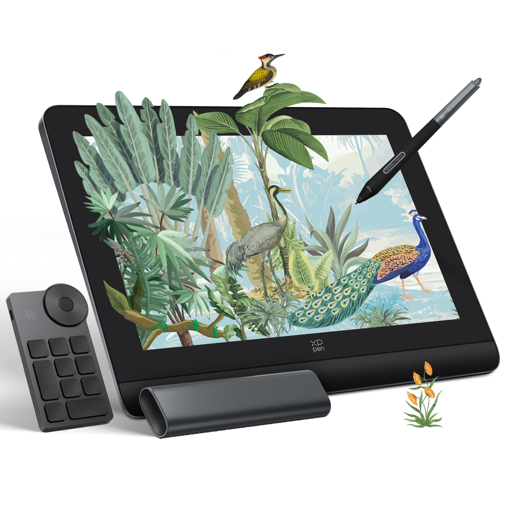 XP-Pen Graphic Display Artist Pro 14/16(Gen 2) for Animation 1920x1200 ...
