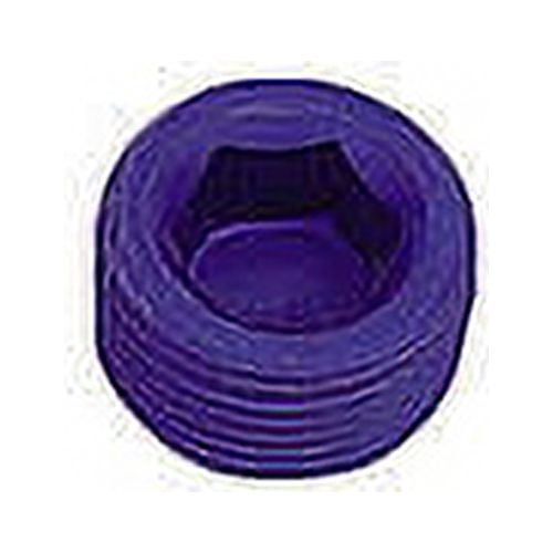 XRP-Xtreme Racing Products XRP993207 0.06 in. Allen Socket Plug - 1 in ...