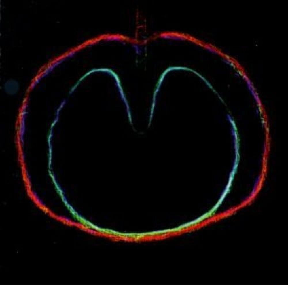 XTC - Wasp Star (Apple Venus Vol. II) - Music & Performance - CD ...