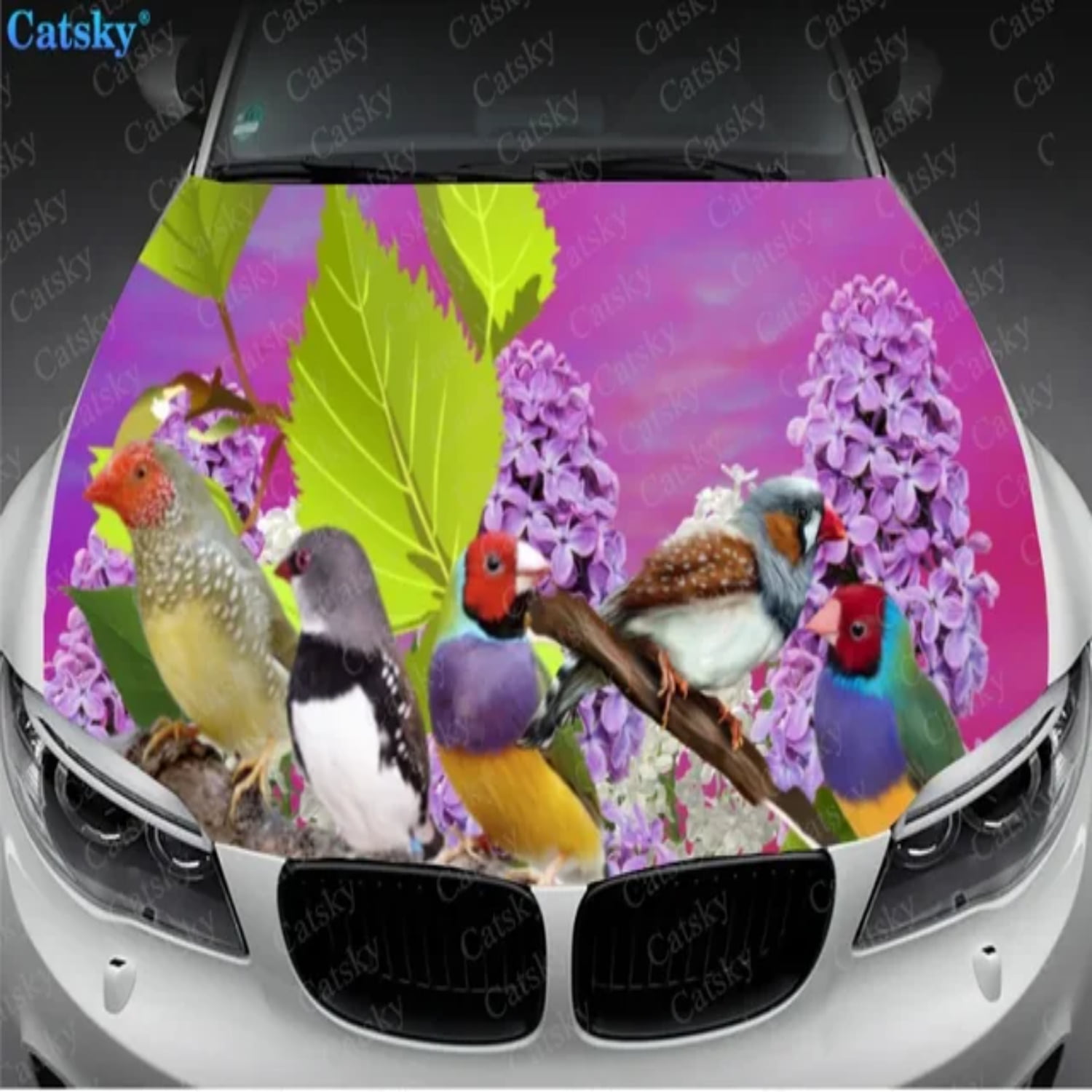 XTLHSM Cute Animal Finch Birds Vinyl Stickers Wrap Film Decals for Car ...