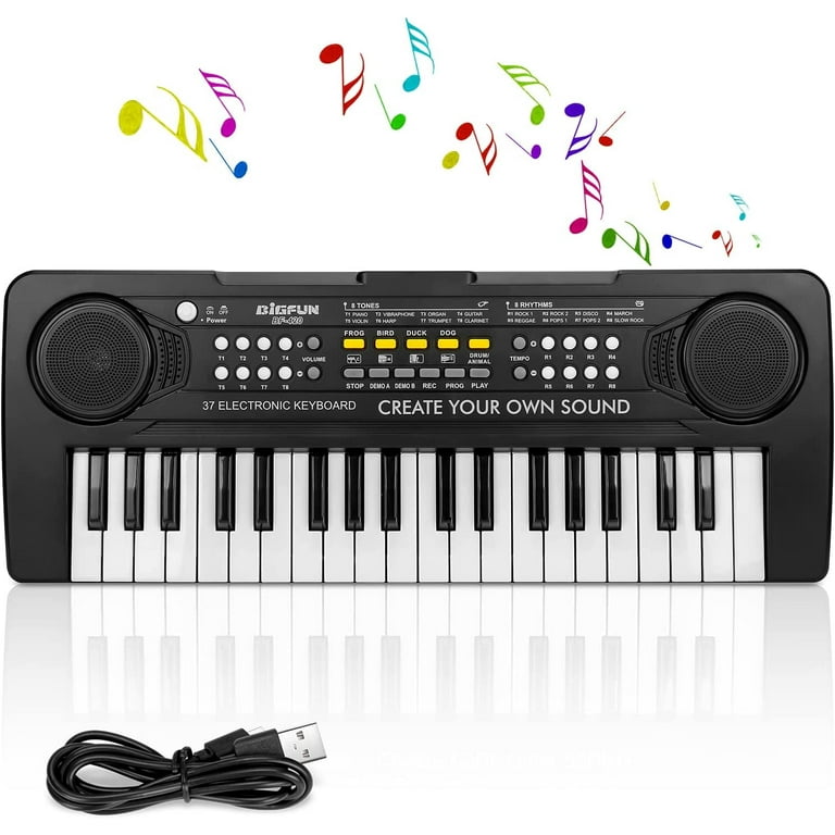 HaotuToys Kids Piano Keyboard 37 Keys Electronic Music Piano for Kids Portable Multi Function Musical Instruments Birthday Educational Toys for 3 4 5