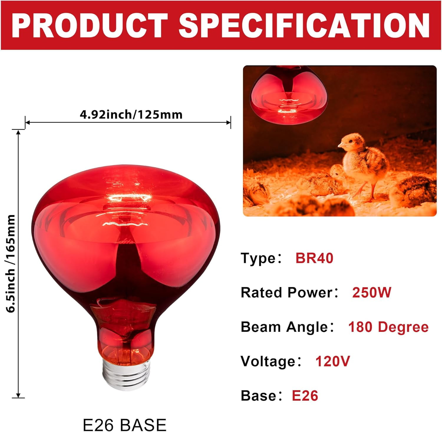 XUERUI-250 Watt Heat Lamp Bulbs for Chicks, R40 Heat Lamp for Chickens ...