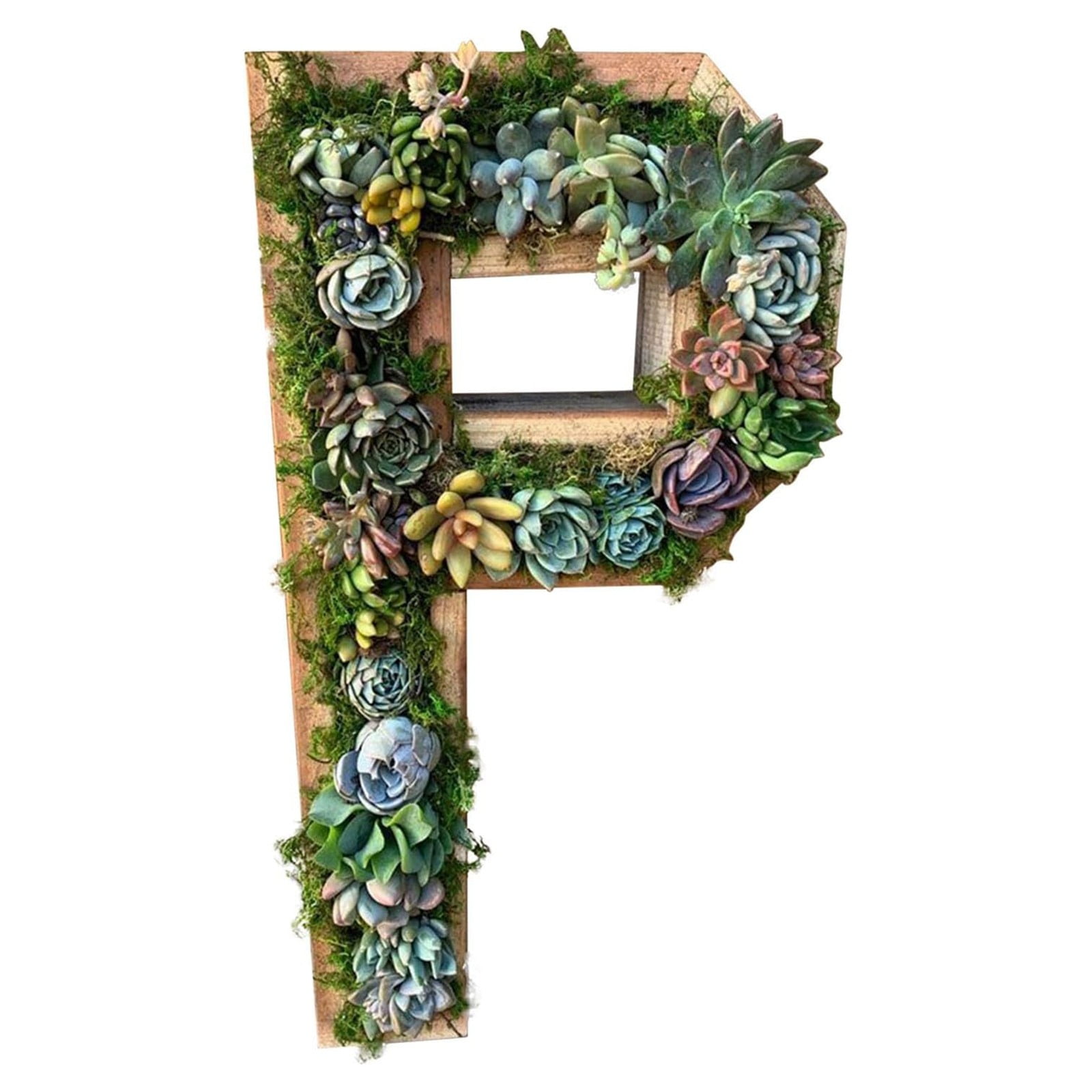 XUFLVPSEF 24 Alphabet Letter Succulent Plant Pot, Wall Mounted Wood ...