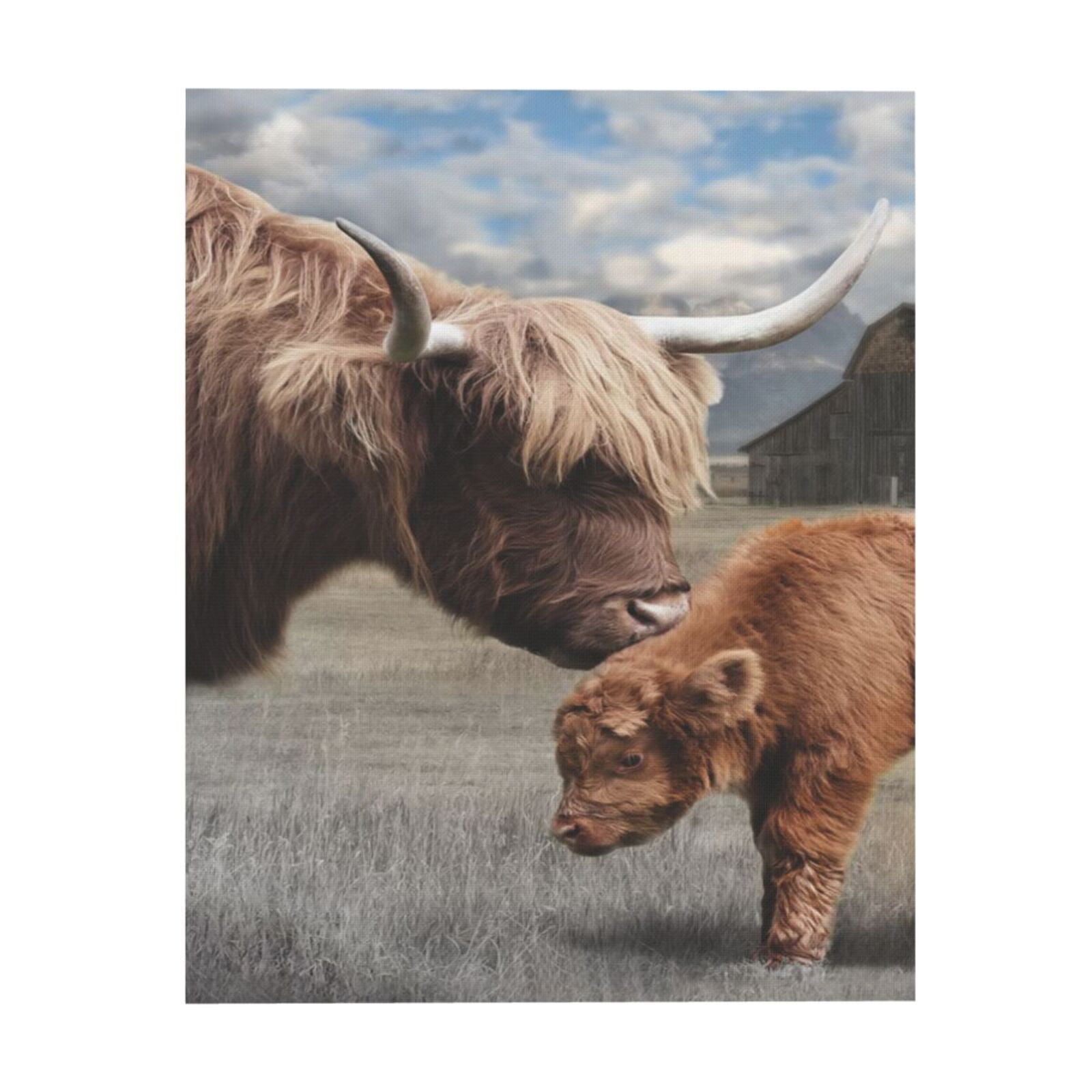 XUFX Highland Cattle Wall Art with Long Horns Picture – Highland Cow ...