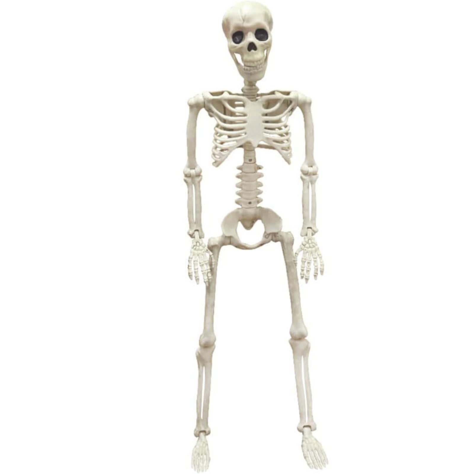 XUYAN 1Pack 3ft/36'' Halloween Skeleton Decorations Full Body Posable ...