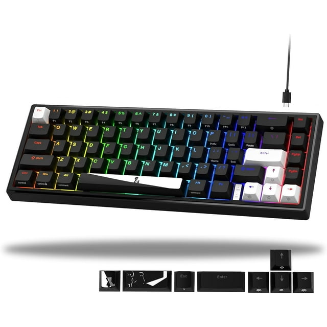XVX V-K66 60% Mechanical Gaming Keyboard, Wired LED, Gasket Mounted ...