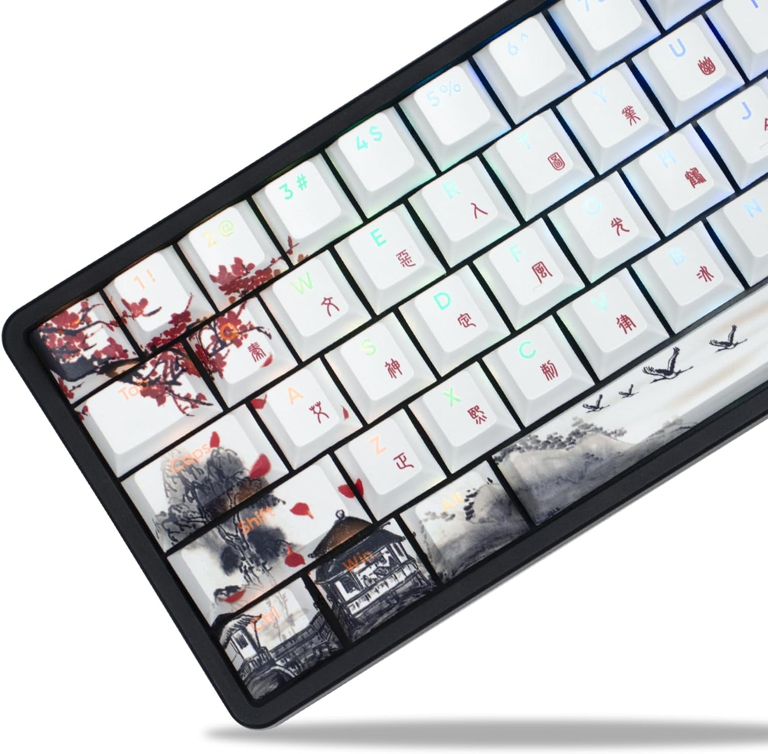 XVX Shine Through Keycaps - PBT Custom Keycaps, 127 Keys Plum Blossom ...