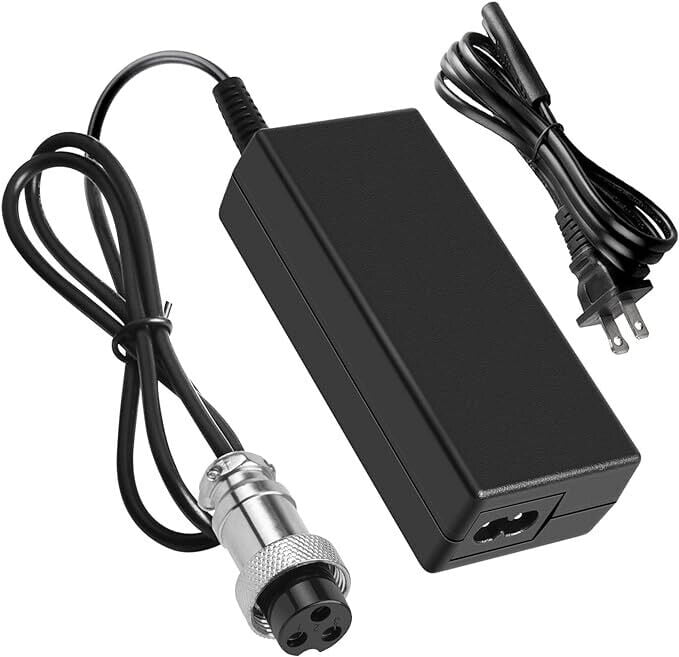 XWNV 24V Scooter Battery Charger, Razor E100 E200 E300 MX350 E125 E150 ...