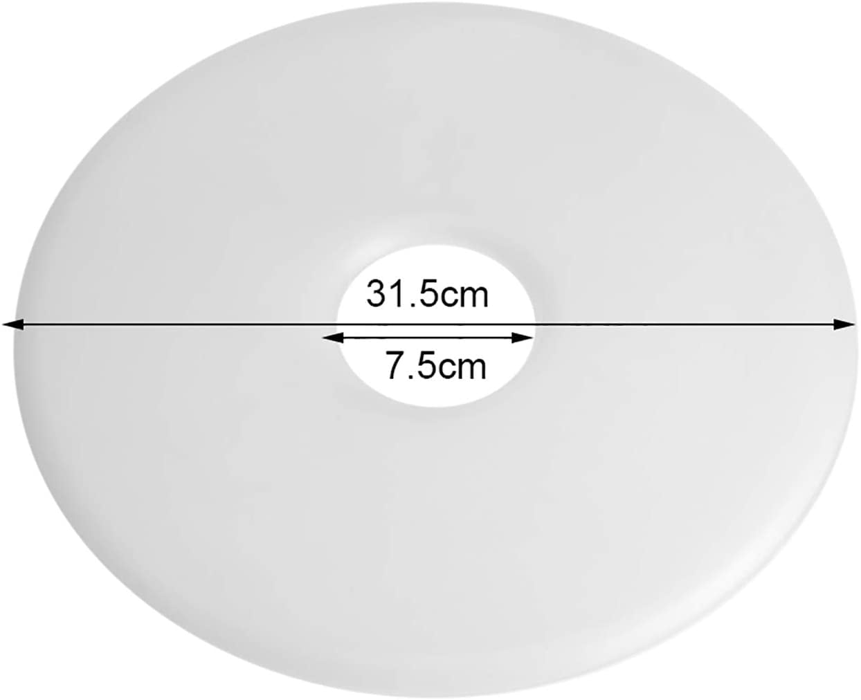 XXF-Dehydrator Fruit Roll Up Sheet, Round Fruit Dehydrator Tray ...