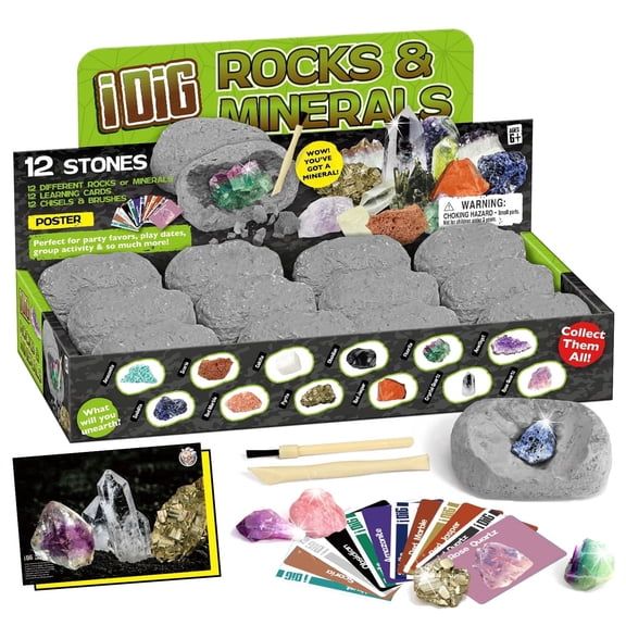 Excavation Kits