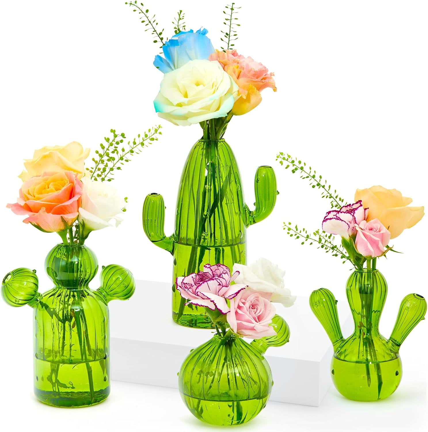 XXXFLOWER Cactus Plant Propagation Station Terrarium Jars for Plant ...