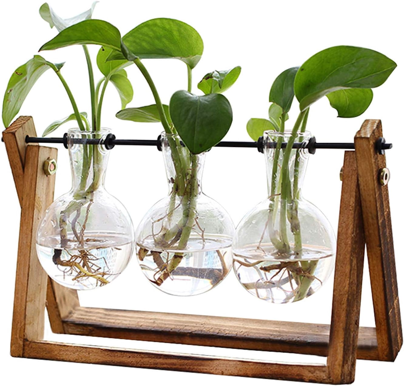 XXXFLOWER Plant Terrarium with Wooden Stand, Air Planter Bulb Glass ...