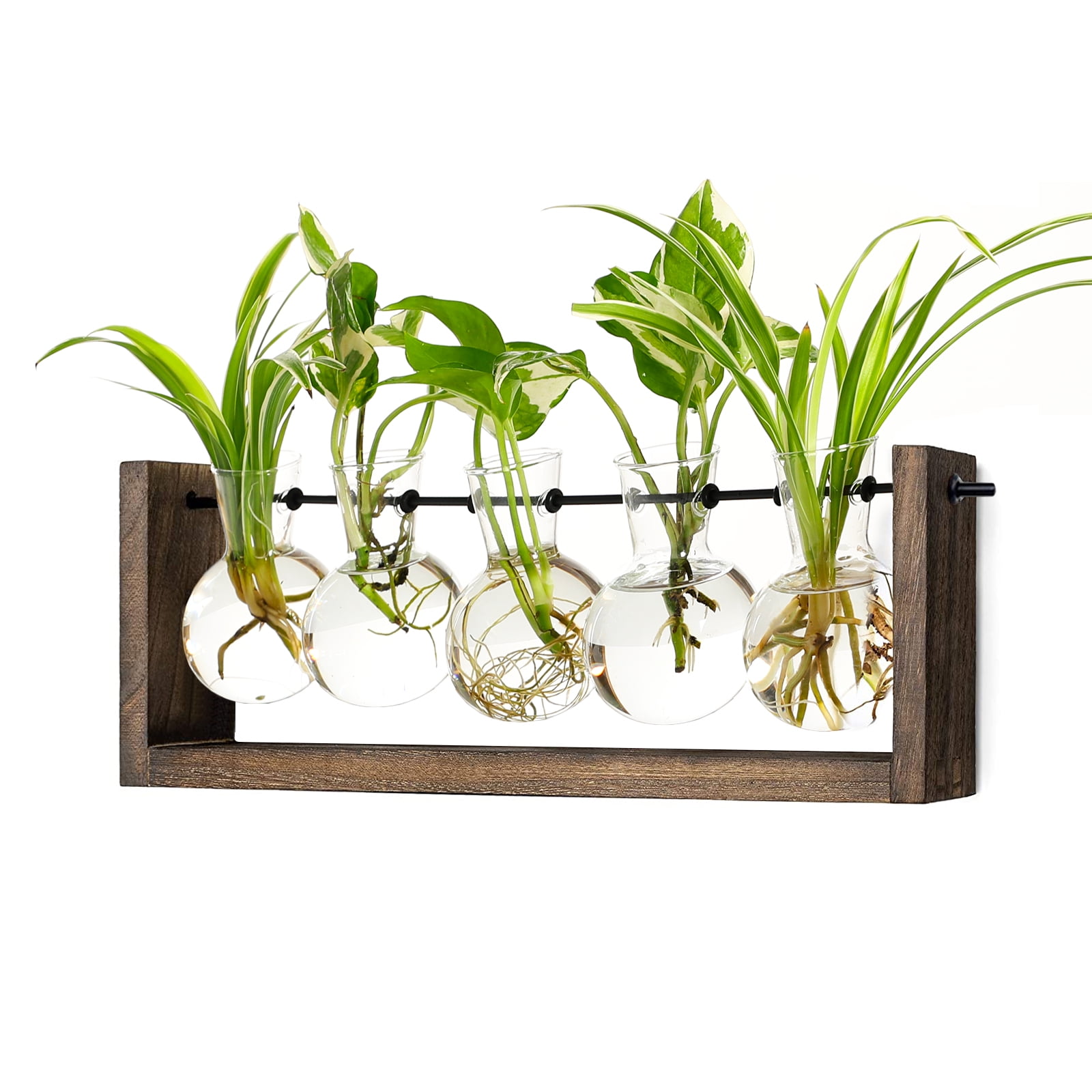 XXXFLOWER Large Air Holder Tabletop Plant Terrarium with Wooden Stand ...