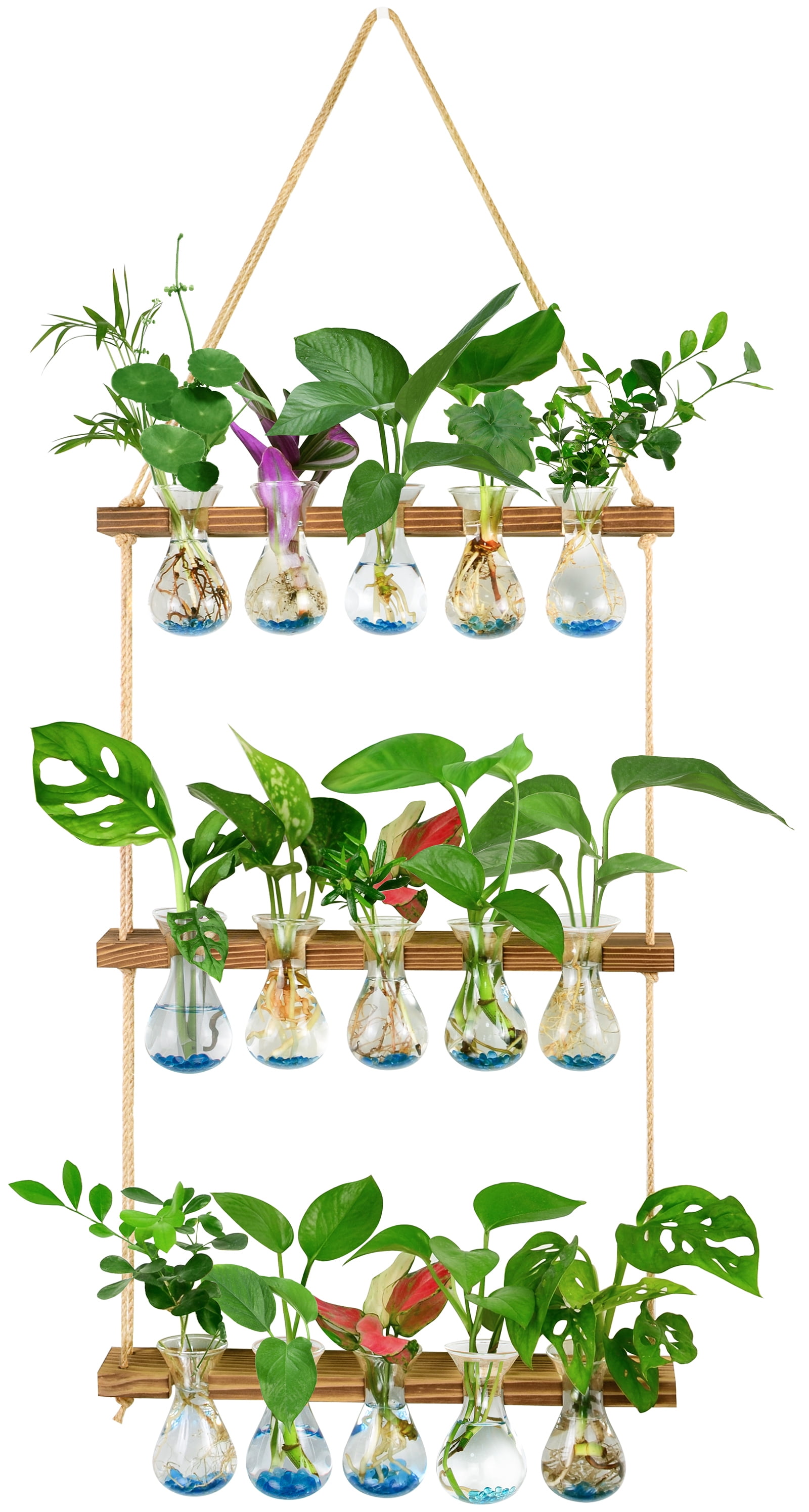 XXXFLOWER 3 Tiered Wall Hanging Propagation Station with Wood Stand, 5 ...
