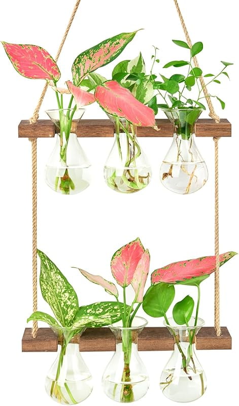 XXXFLOWER Wall Hanging Propagation Station with Wooden Stand 5 Bulb ...