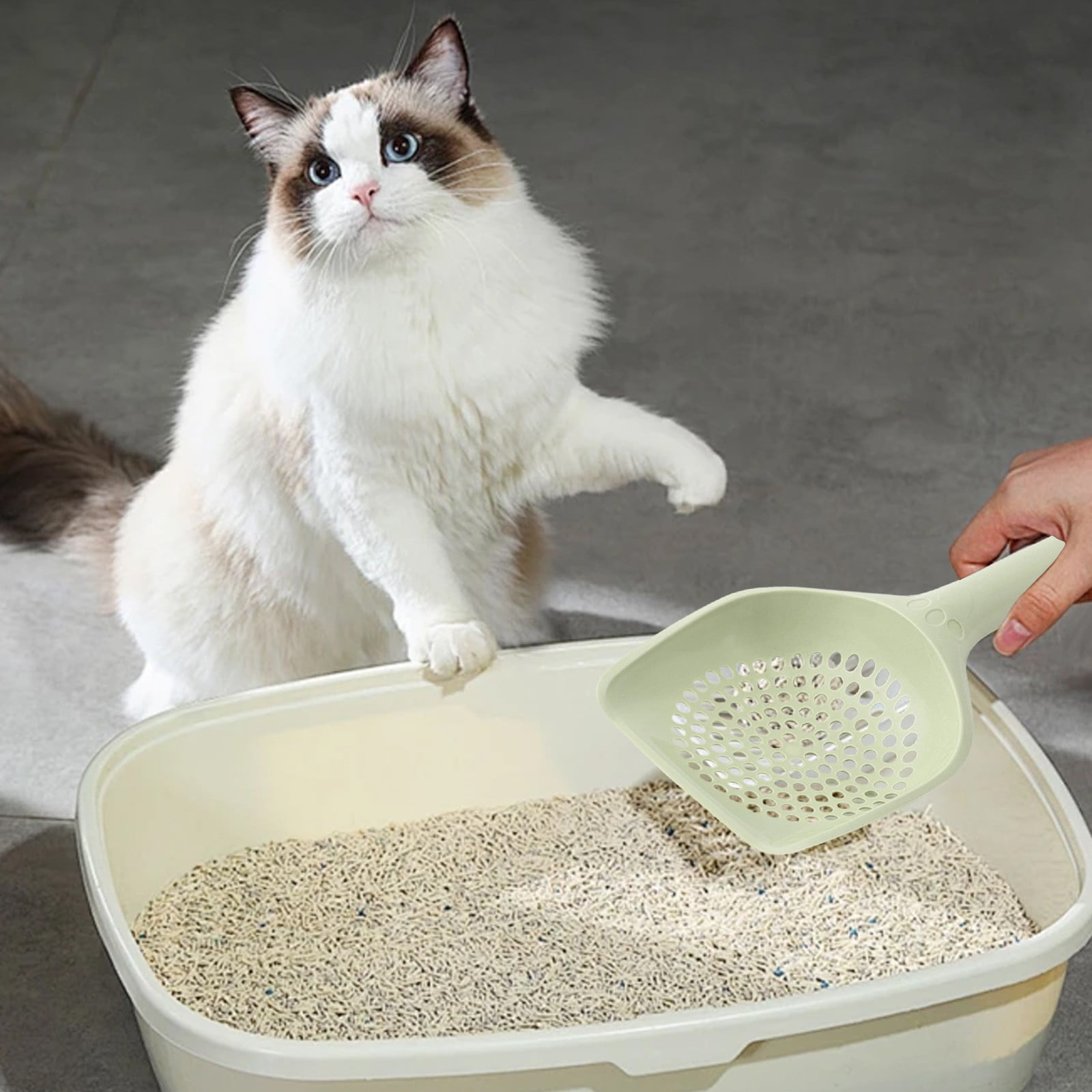 XYAIYT Kitty Litter with Ergonomic Handle Sturdy Plastic Waste ...