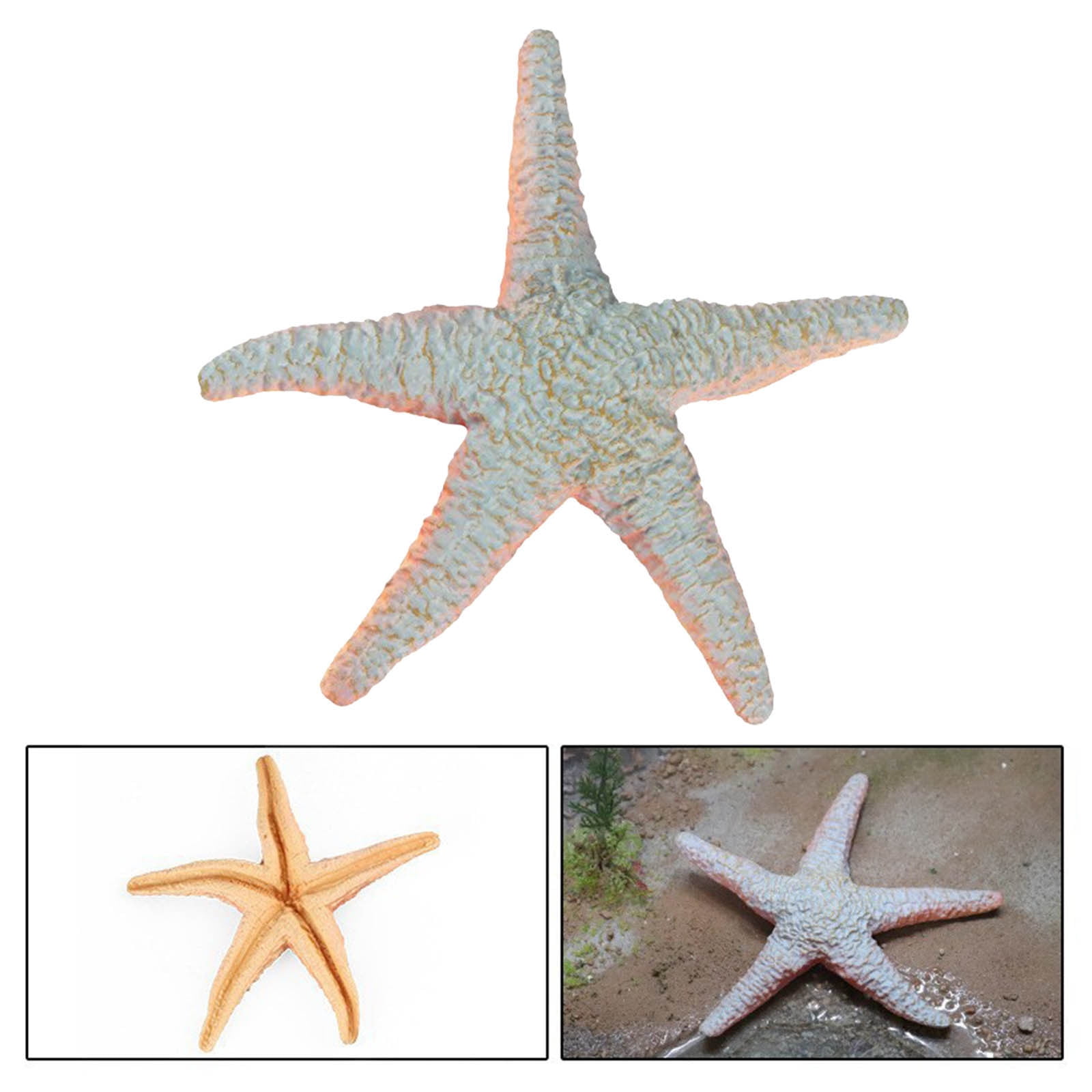 XYAIYT Realistic Sea Figurines Hand Painted PVC Life Models Educational ...