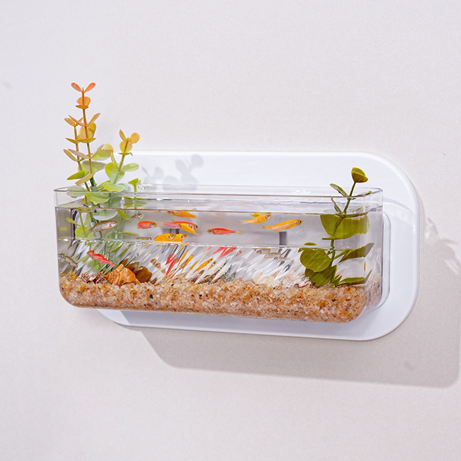 XYRSRUW Wall Mounted Storage Box, Transparent Hydroponic Planter, Fish ...