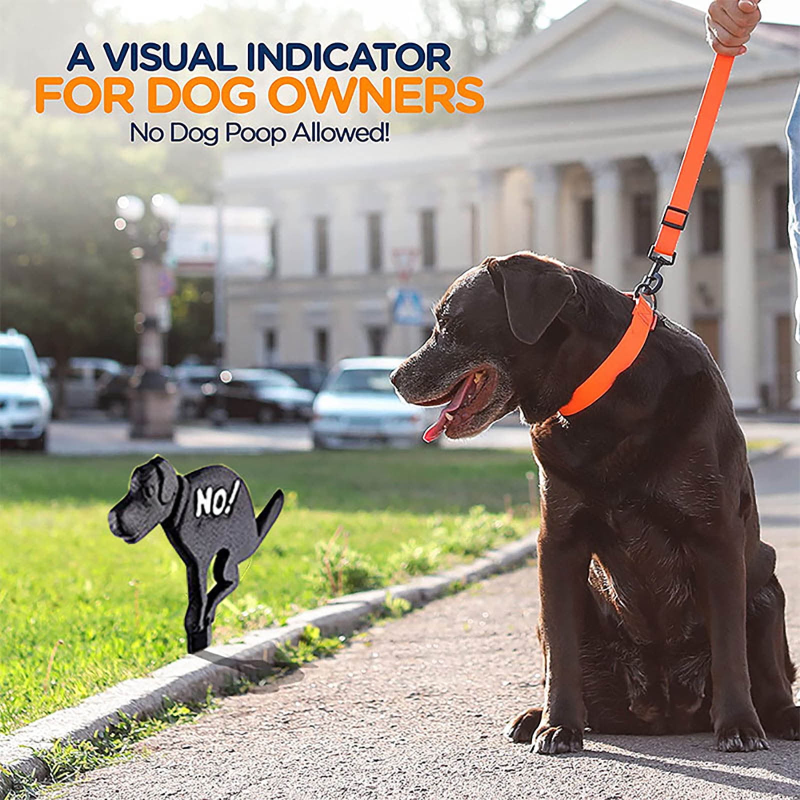 XZZjjl Home Tools Airport Windsock 13 Art Dog Garden Inserts No Sign ...