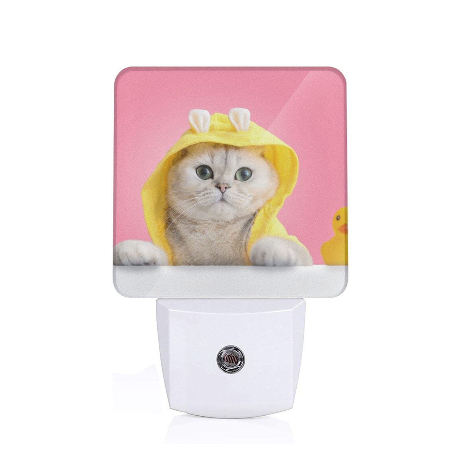 Xecao A Funny Cat for Night Light - a Wall-mounted LED Fixture with A ...