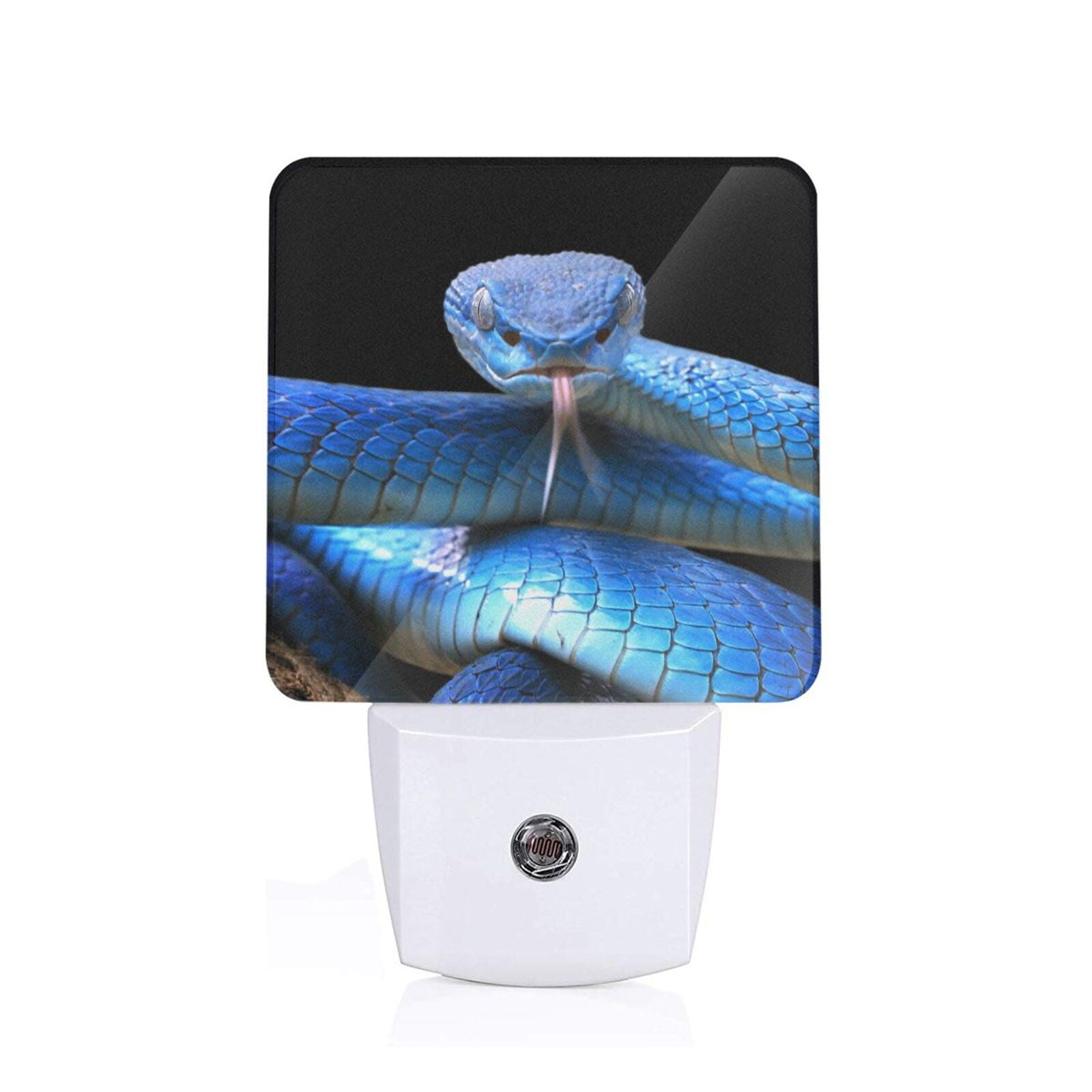 Xecao Blue Viper Snake for Night Light - a Wall-mounted LED Fixture ...