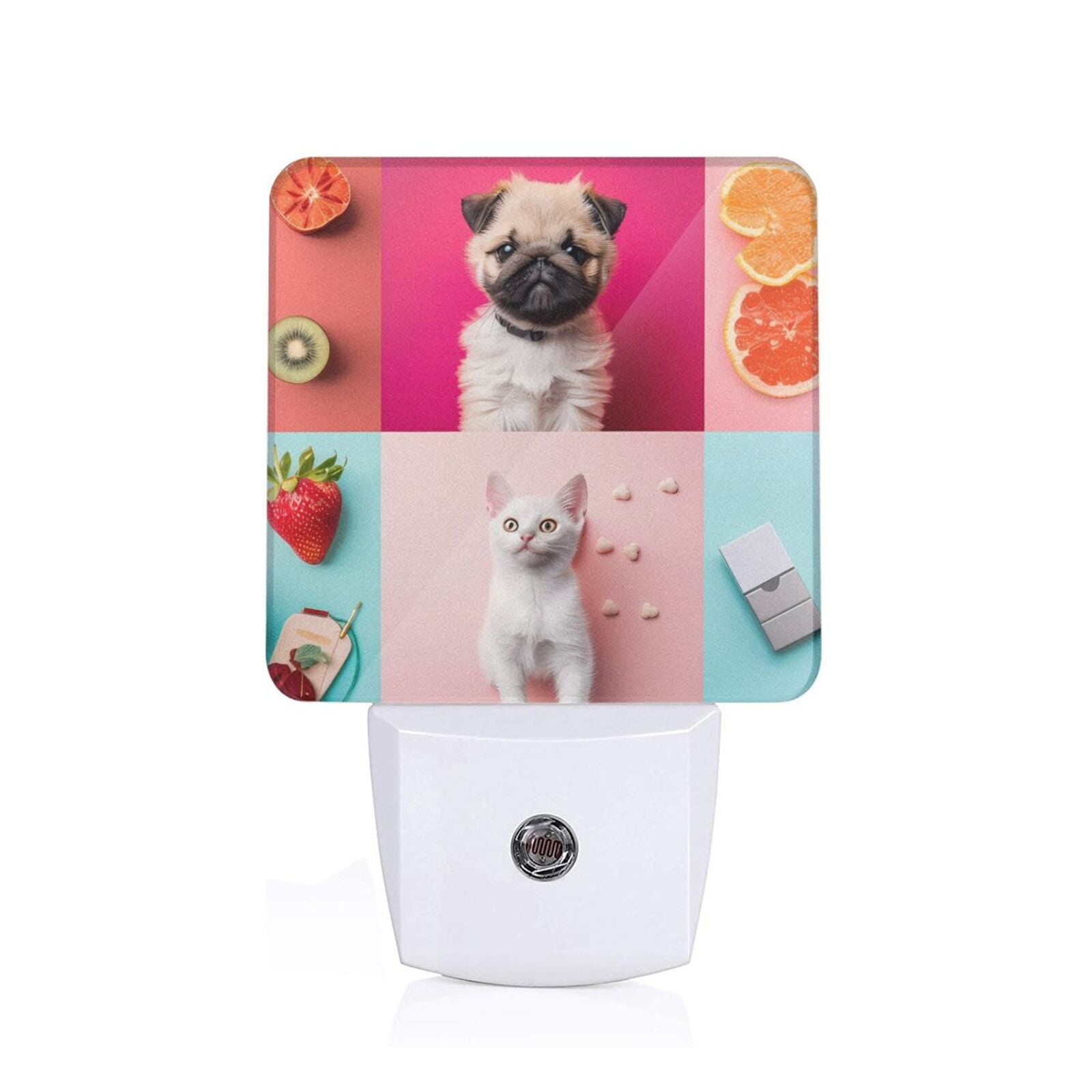 Xecao Colorful Dog Cat Collage for Night Light - a Wall-mounted LED ...