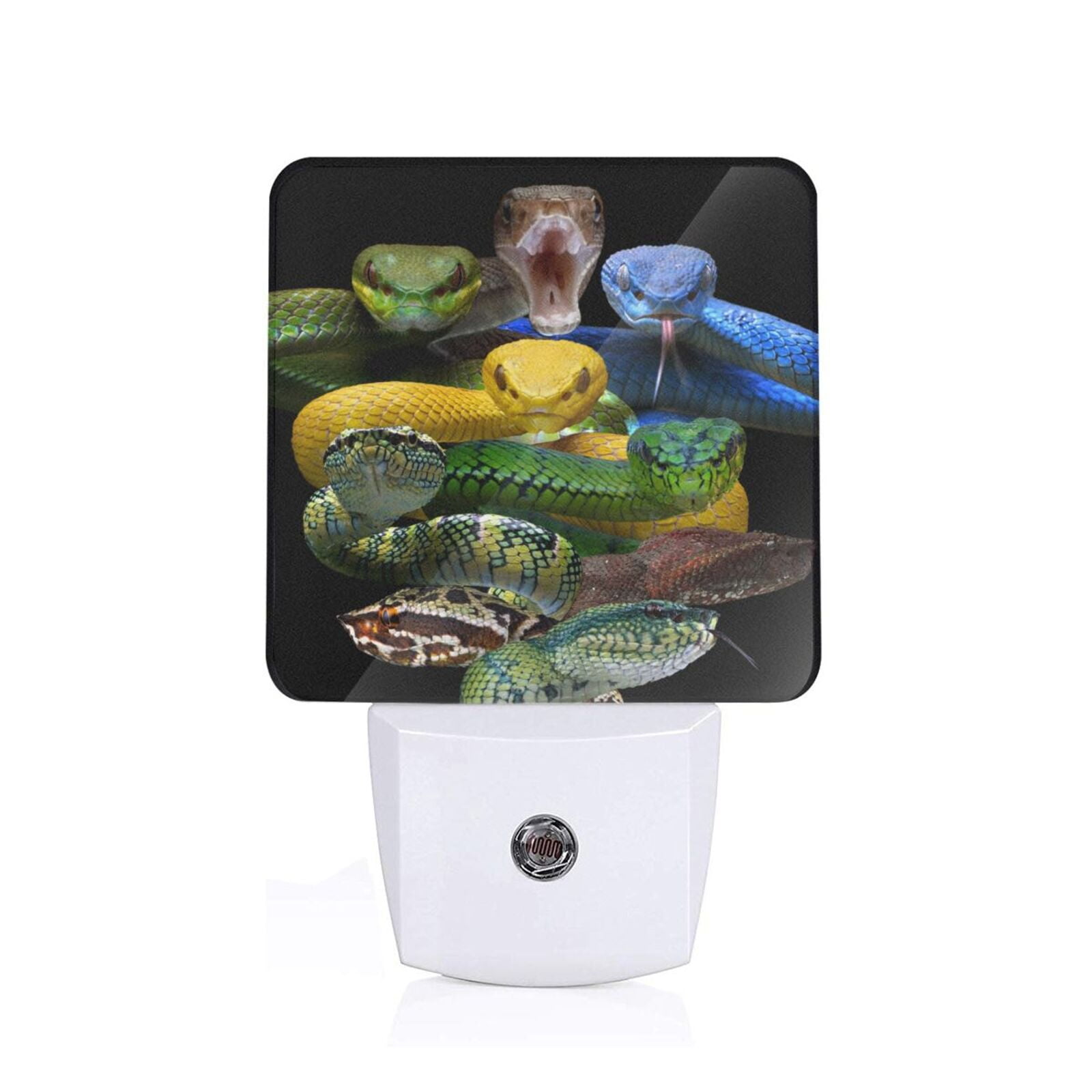 Xecao Colorful Viper Snake for Night Light - a Wall-mounted LED Fixture ...
