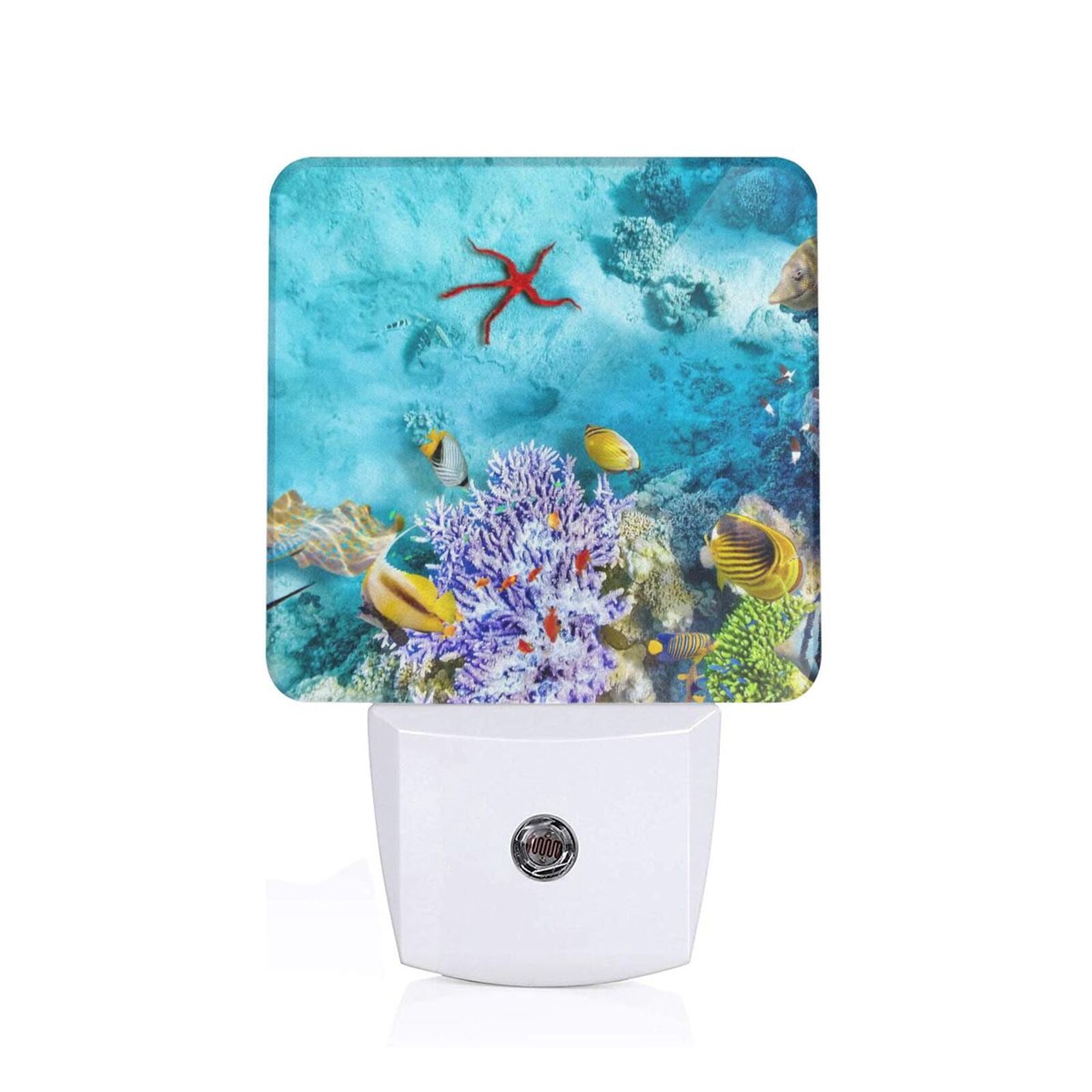 Xecao Corals and Tropical Fish for Night Light - a Wall-mounted LED ...