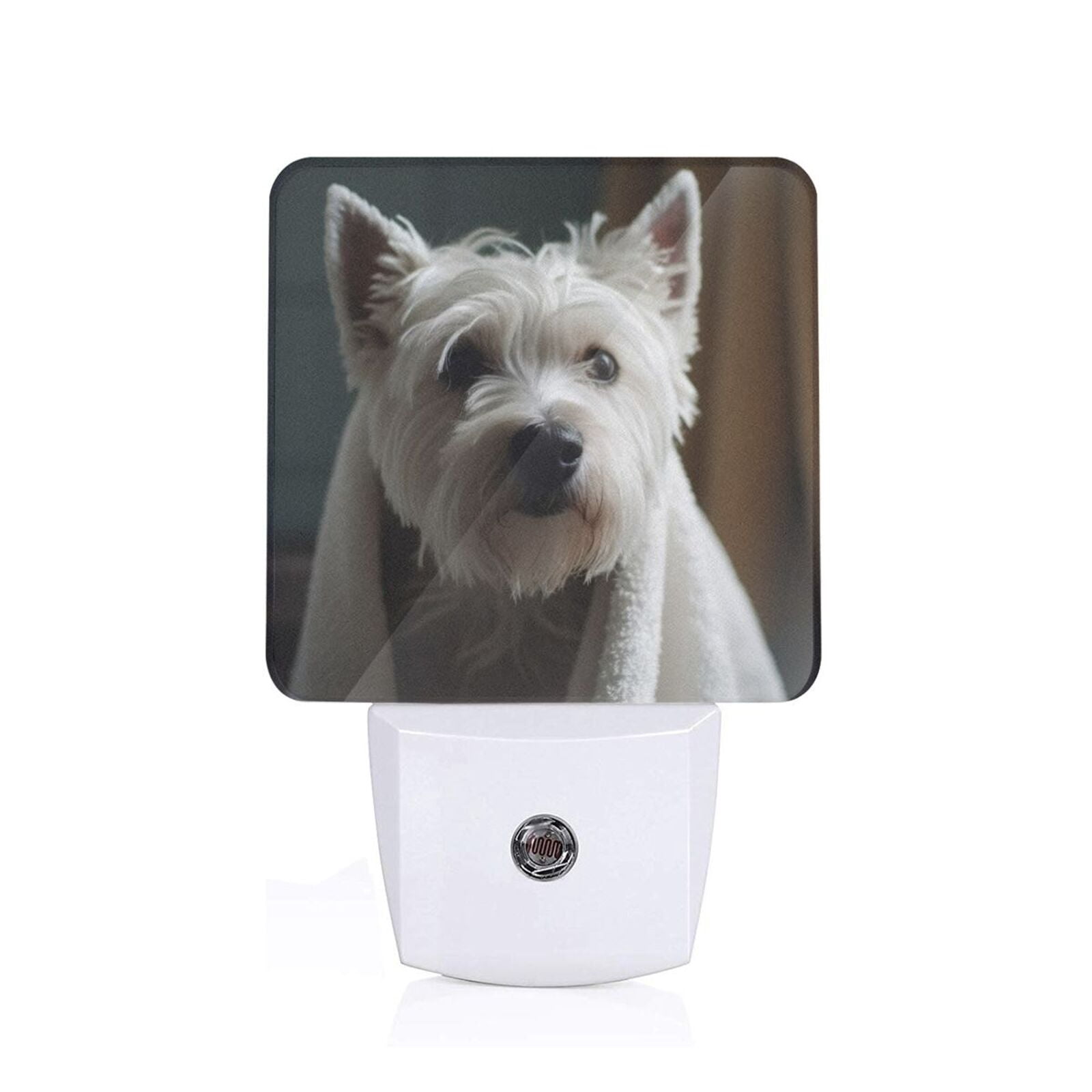 Xecao Dog Wrapped in Towel 1 for Night Light - a Wall-mounted LED ...