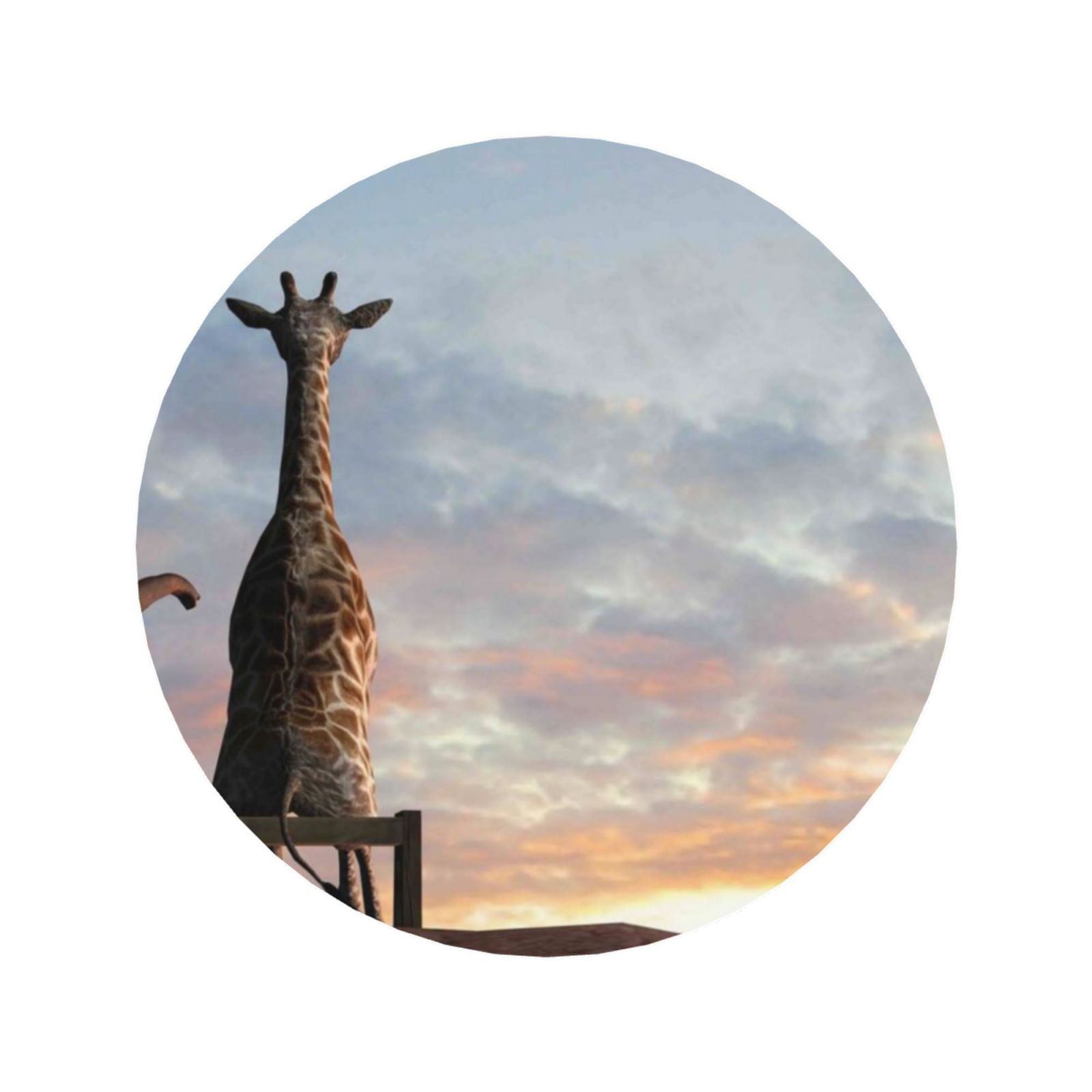 Xecao Elephant Giraffe for Fridge Magnets - Fun Decorative Refrigerator ...