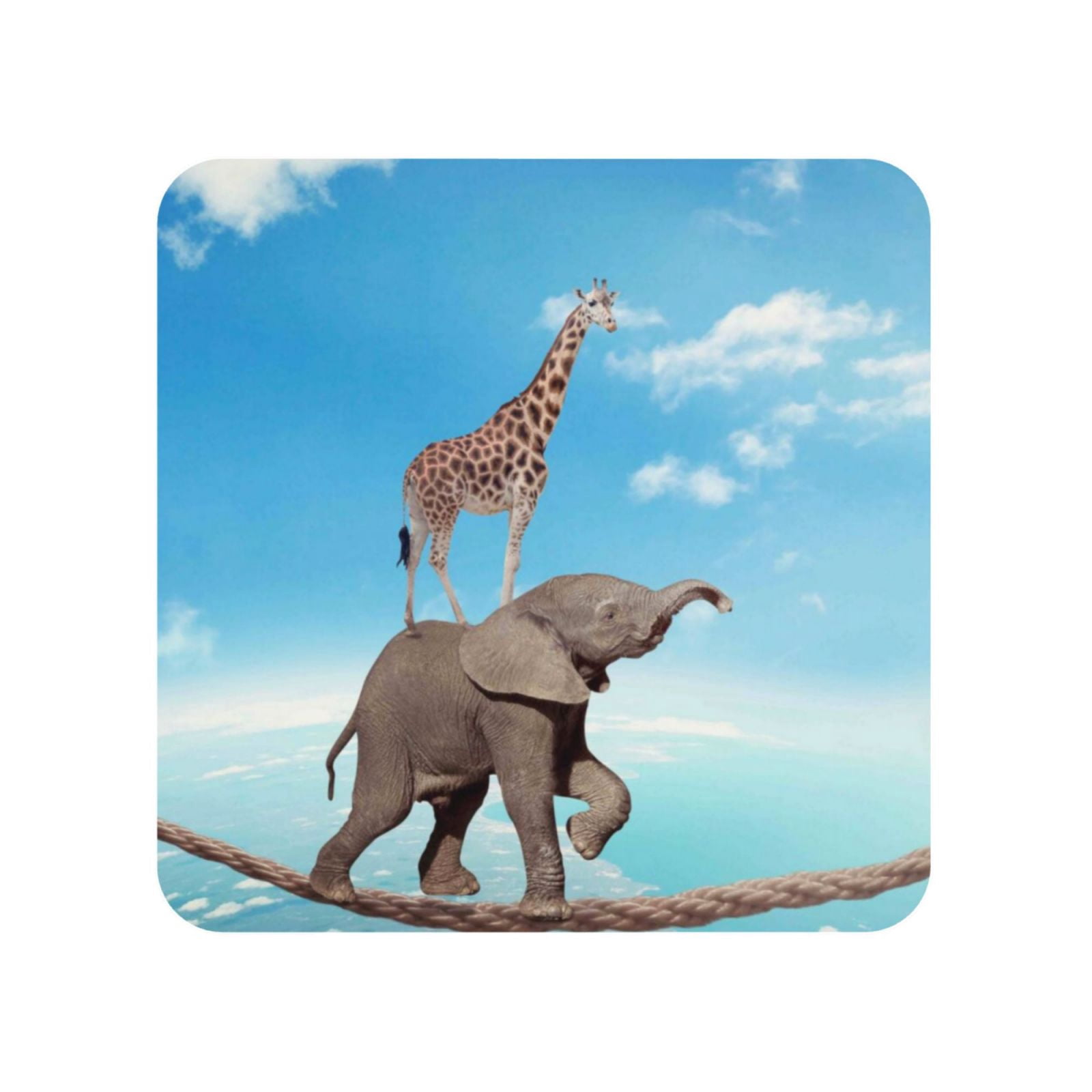 Xecao Elephant Giraffe for Fridge Magnets - Fun Decorative Refrigerator ...