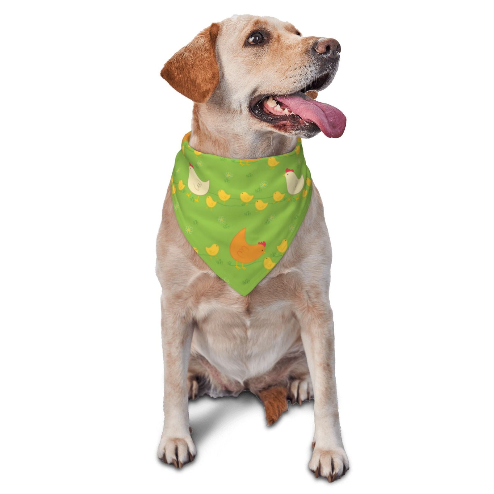 Xecao Funny Chicken for Pet Bandana - A Stylish Triangle Accessory for ...