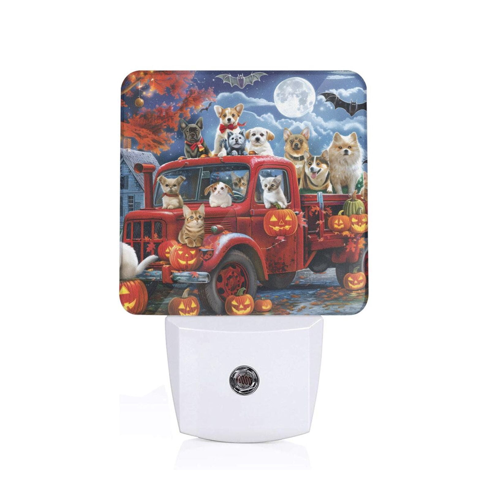 Xecao Halloween Pets Pumpkins for Night Light - a Wall-mounted LED ...