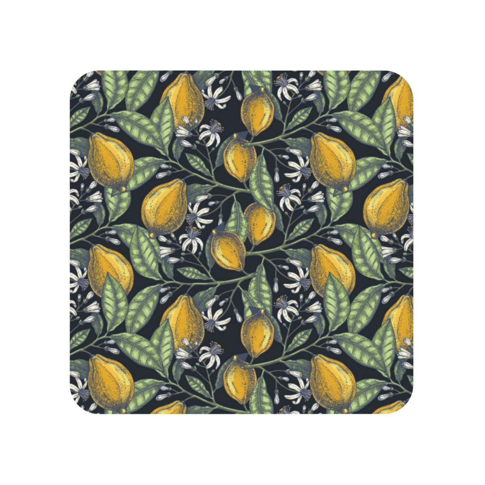 Xecao Hand Drawn Citrus Fruits Elegant Lemons for Fridge Magnets - Fun ...