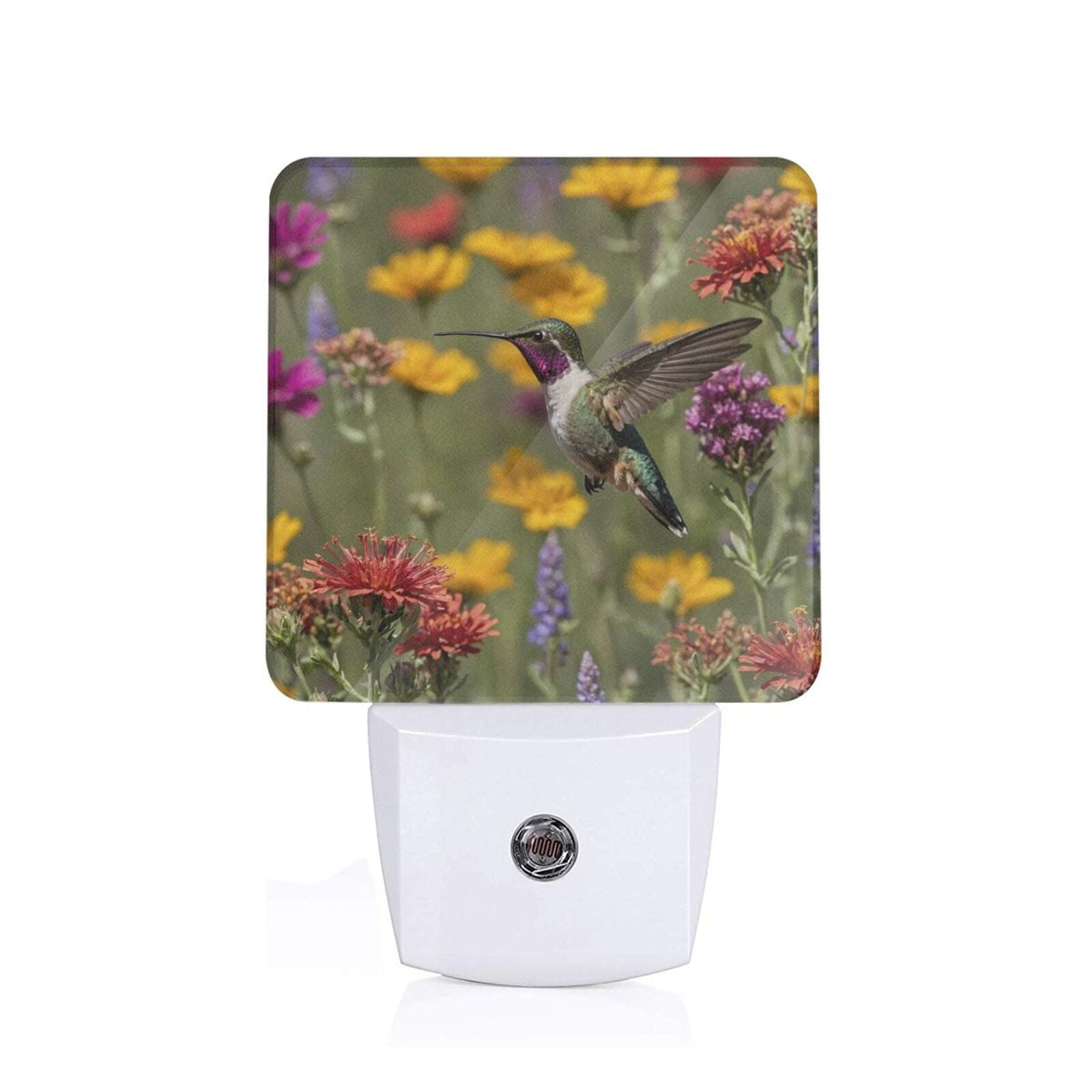 Xecao Humming Bird for Night Light - a Wall-mounted LED Fixture with A ...