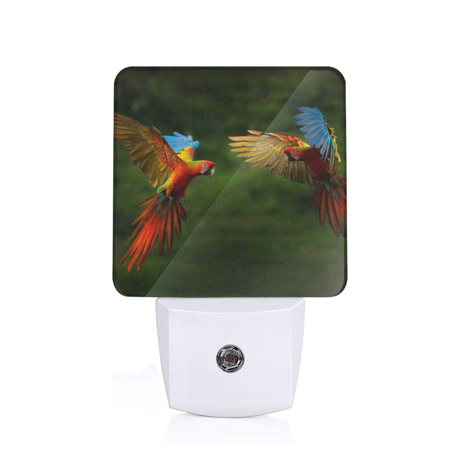 Xecao Hybrid Parrot in the Forest for Night Light - a Wall-mounted LED ...