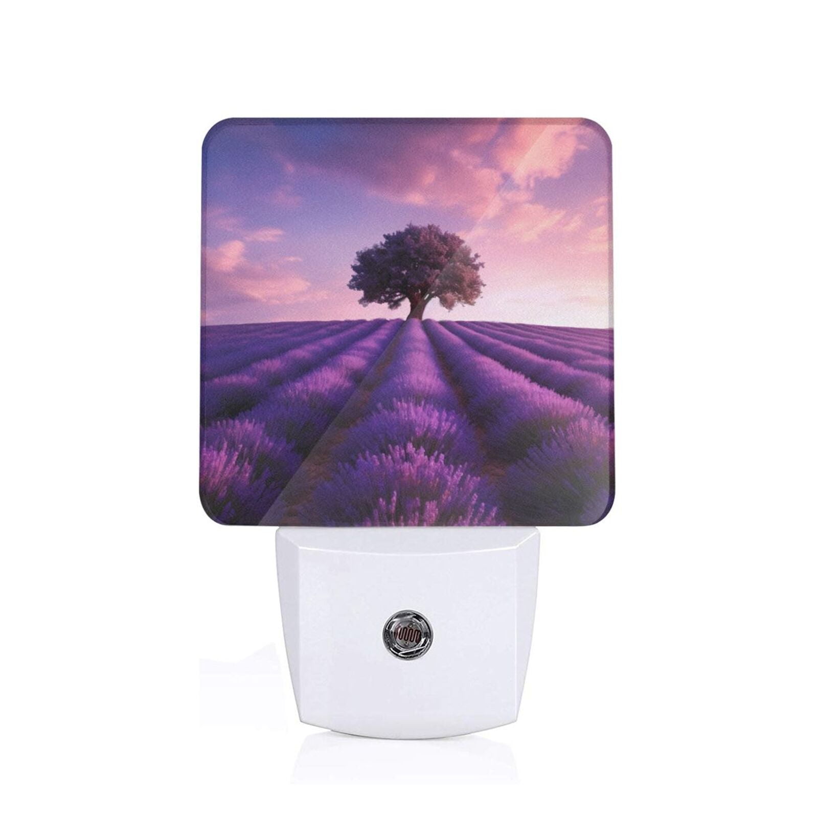 Xecao Lavender Field Sunset for Night Light - a Wall-mounted LED ...