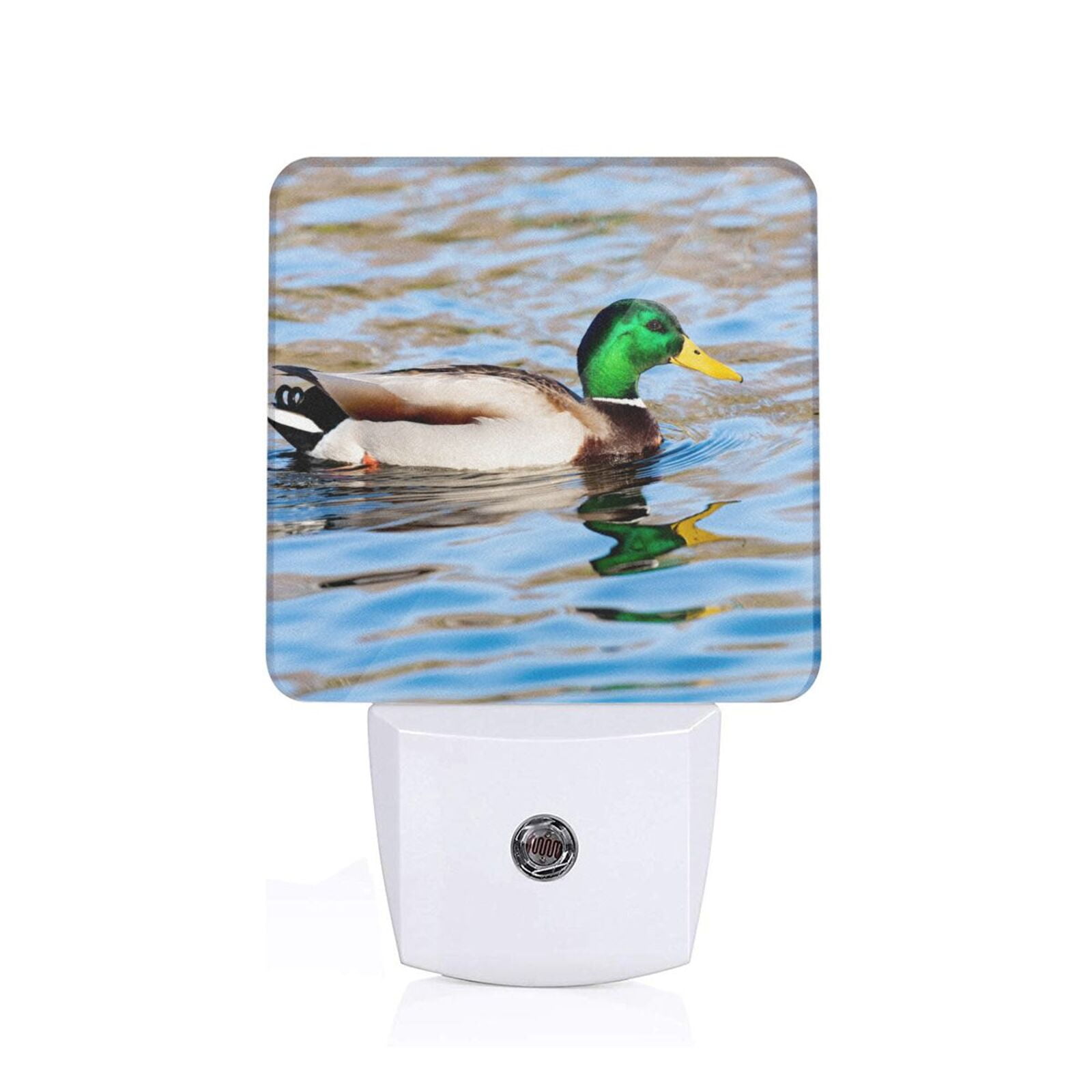 Xecao Mallard Duck Swimming In A River for Night Light - a Wall-mounted ...