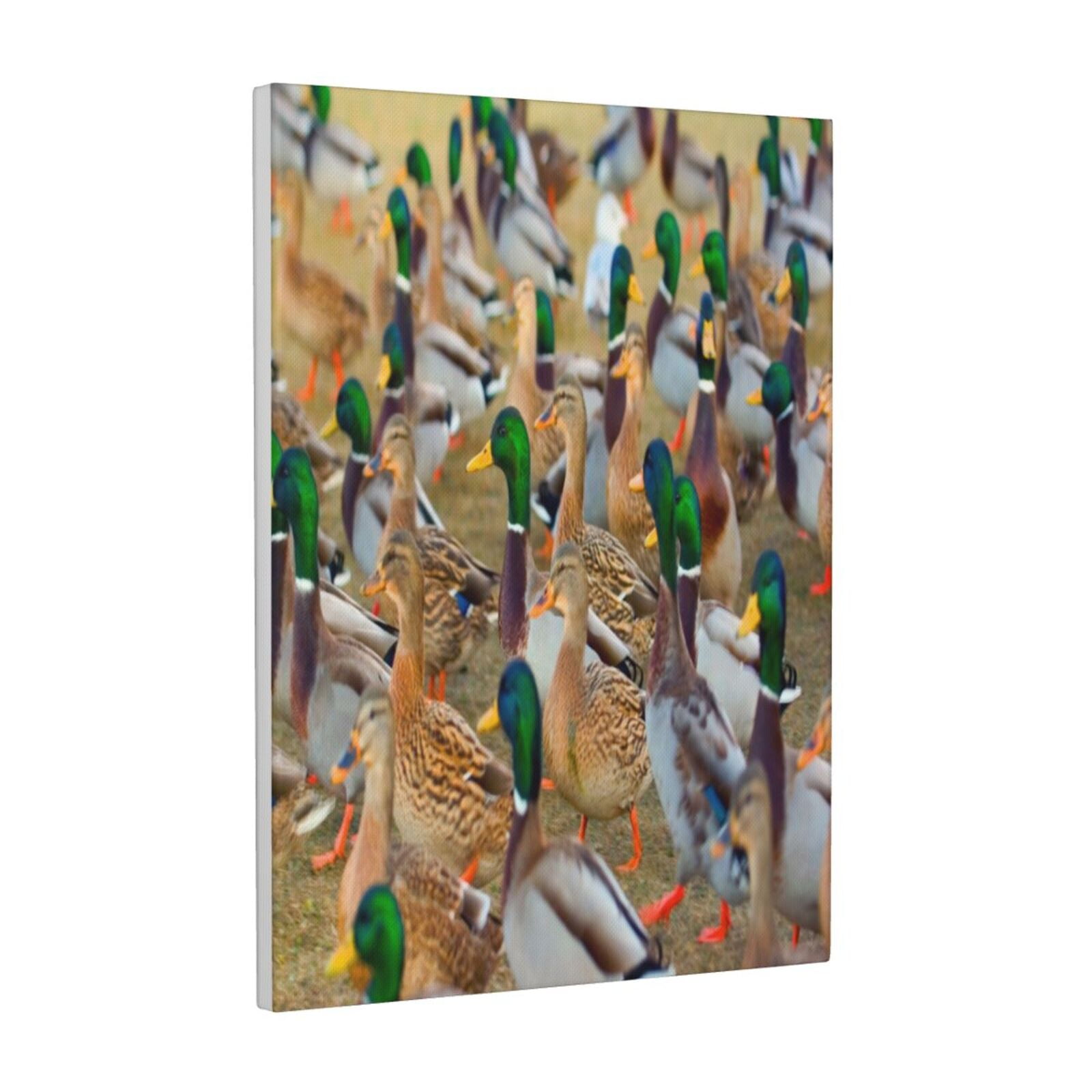 Xecao Mallard Ducks for Ready-to-Hang Canvas Art 12x16 Inches - Waterproof HD Print Solid Wood ...