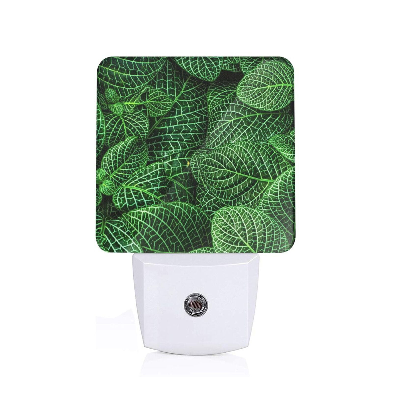 Xecao Natural Green Leaves for Night Light - a Wall-mounted LED Fixture ...
