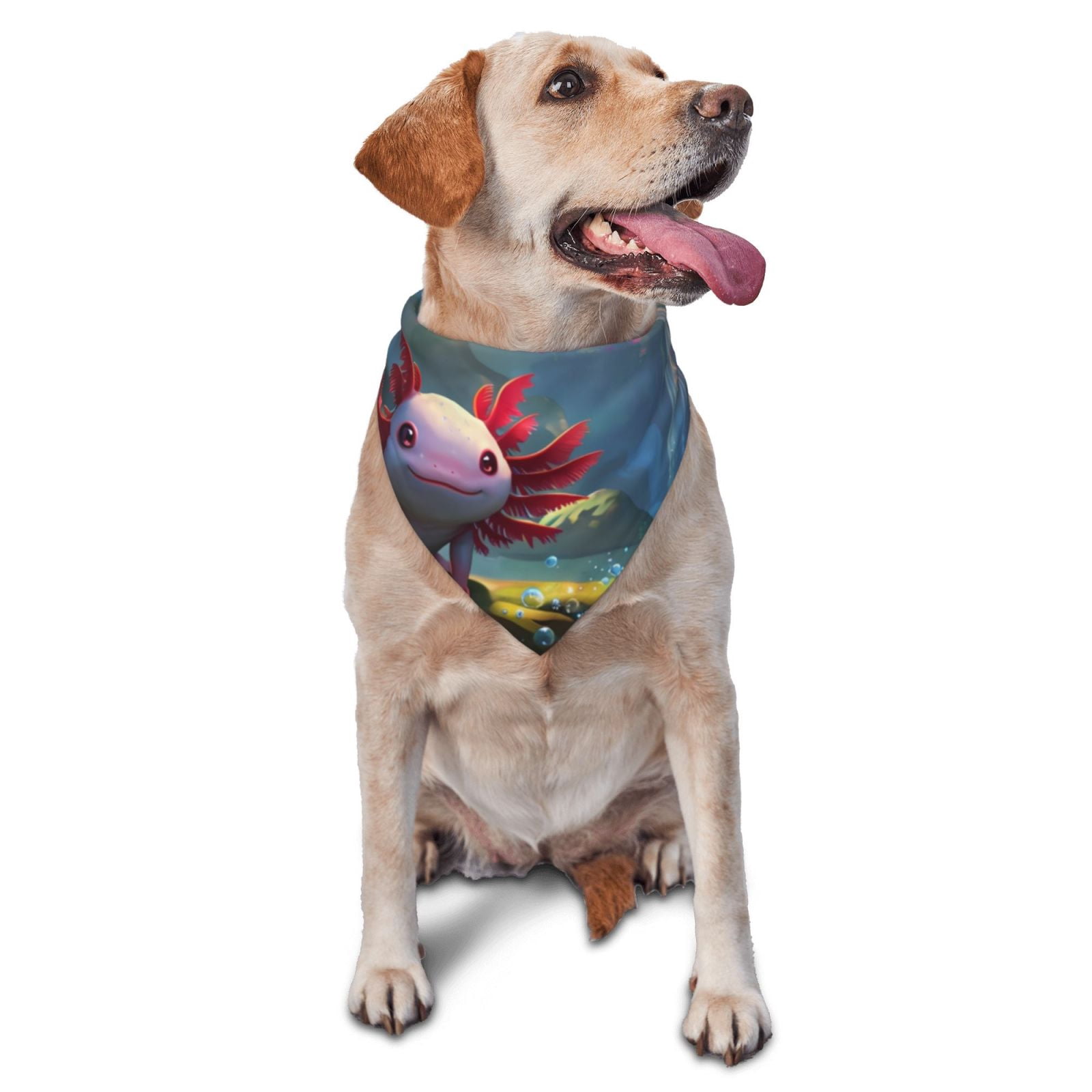 Xecao Pond Cute Axolotl for Pet Bandana - A Stylish Triangle Accessory ...