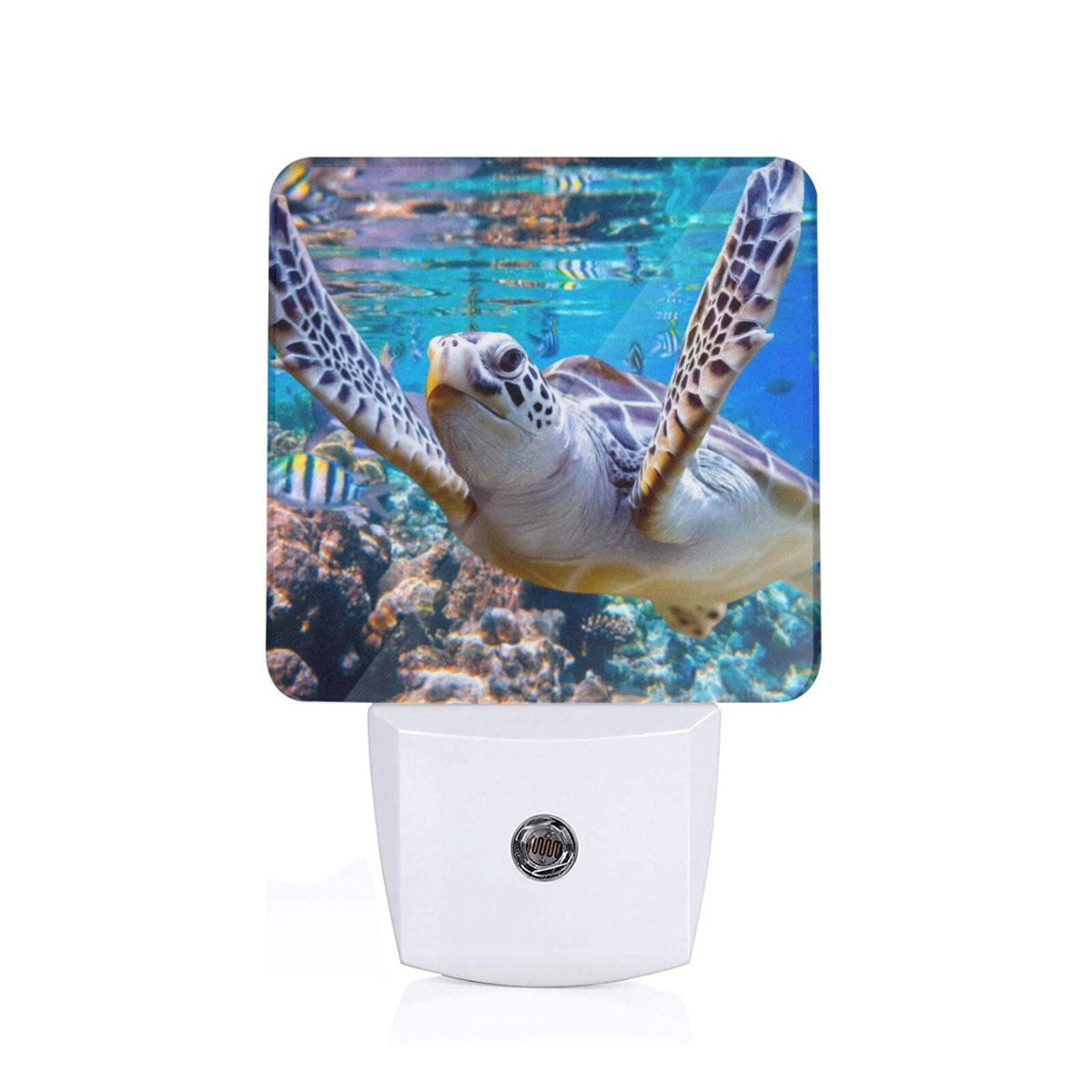 Xecao Sea Turtle Swims for Night Light - a Wall-mounted LED Fixture ...