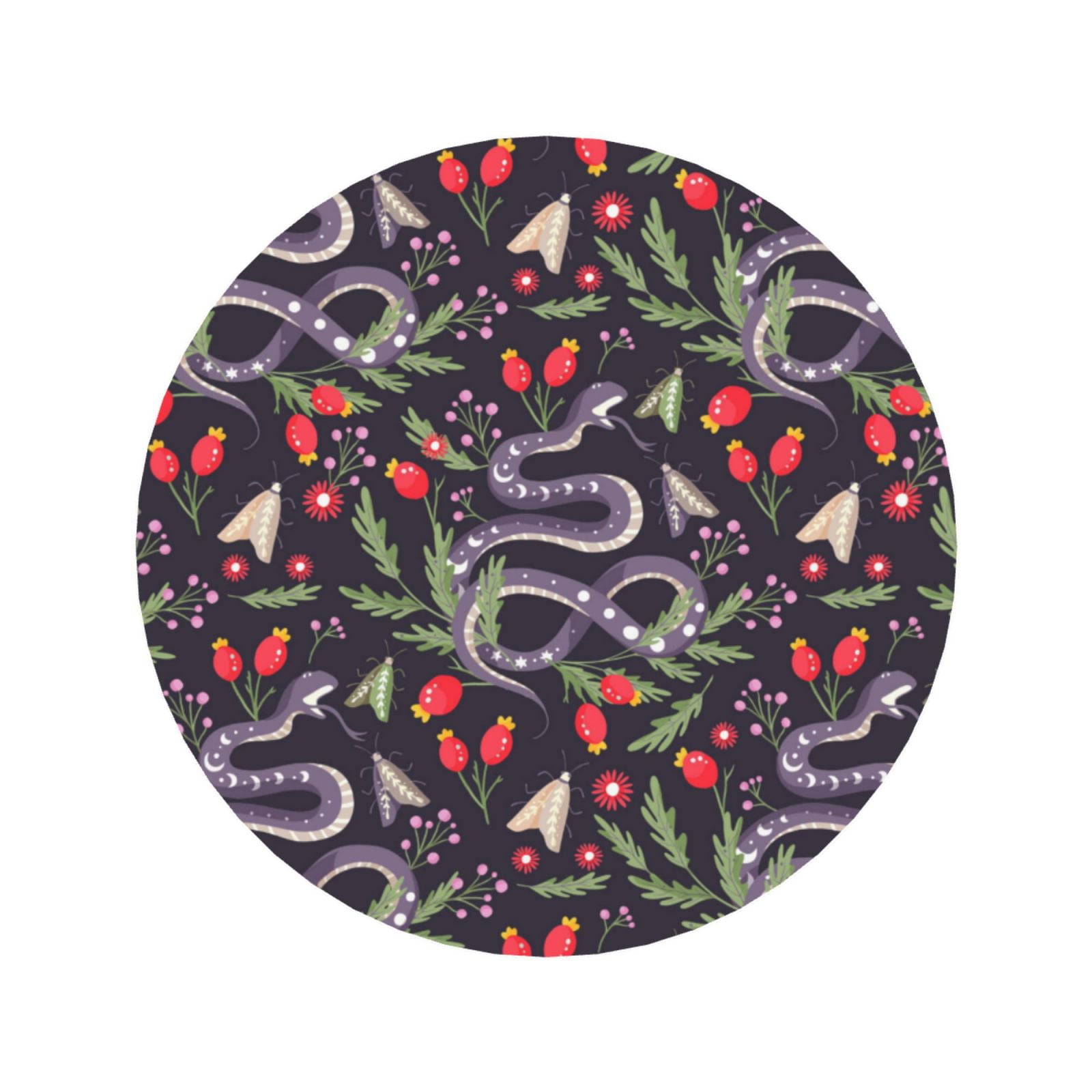 Xecao Snakes And Snake Fruit for Fridge Magnets - Fun Decorative ...