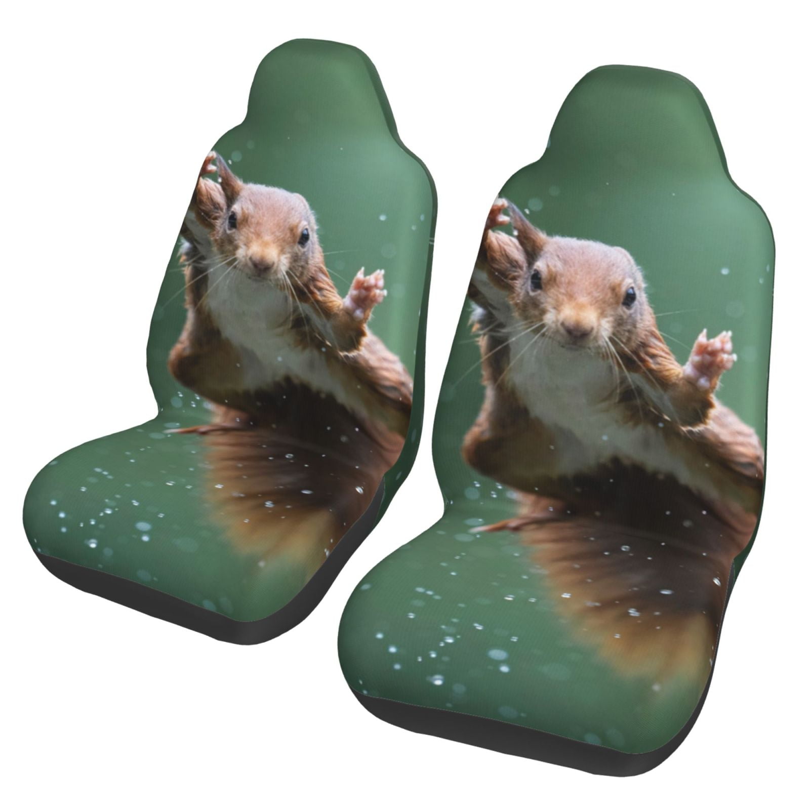 Xecao Squirrel Print Car Seat Cover in That Fits Most Cars, Vans, SUVs ...
