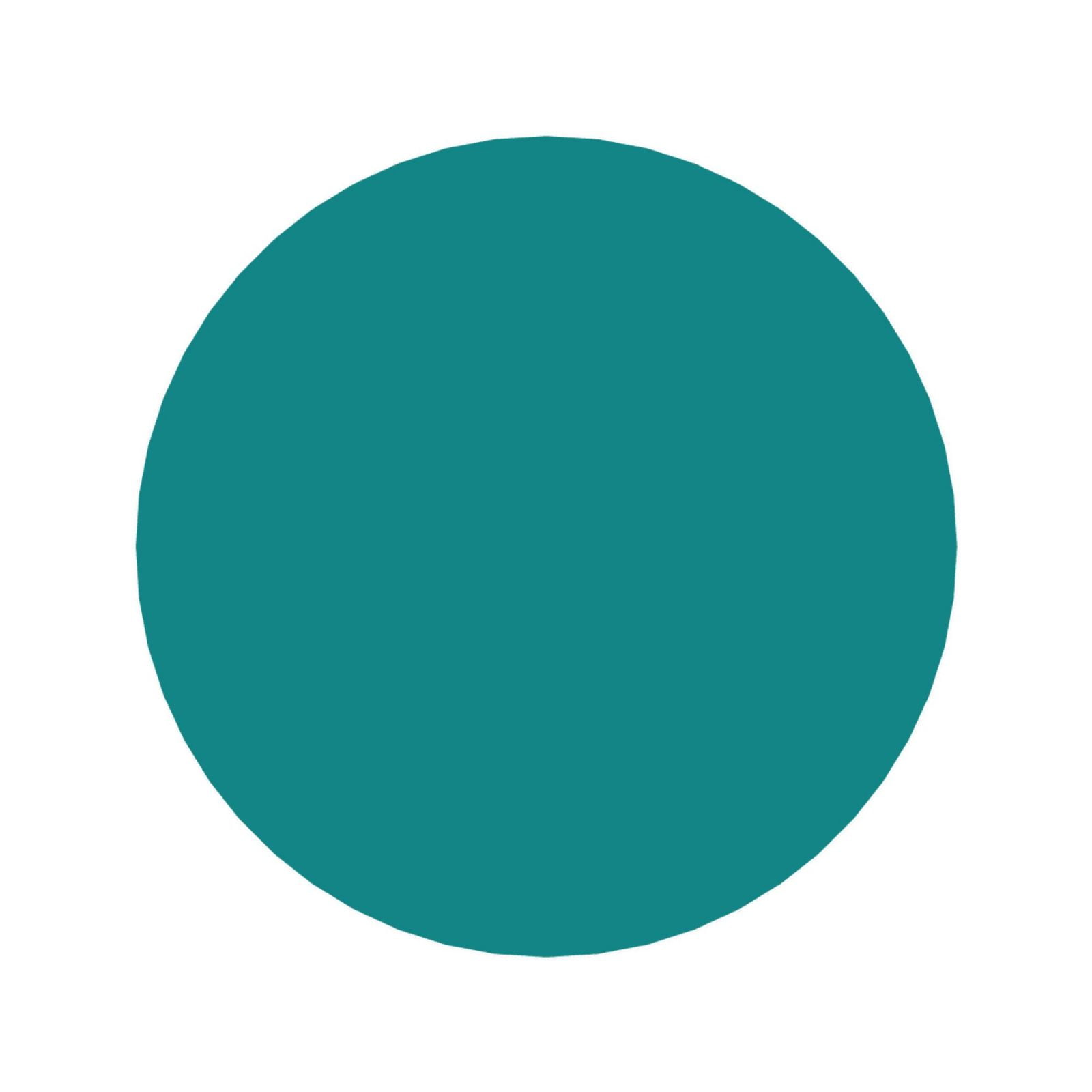 Xecao Teal for Fridge Magnets - Fun Decorative Refrigerator Magnets ...