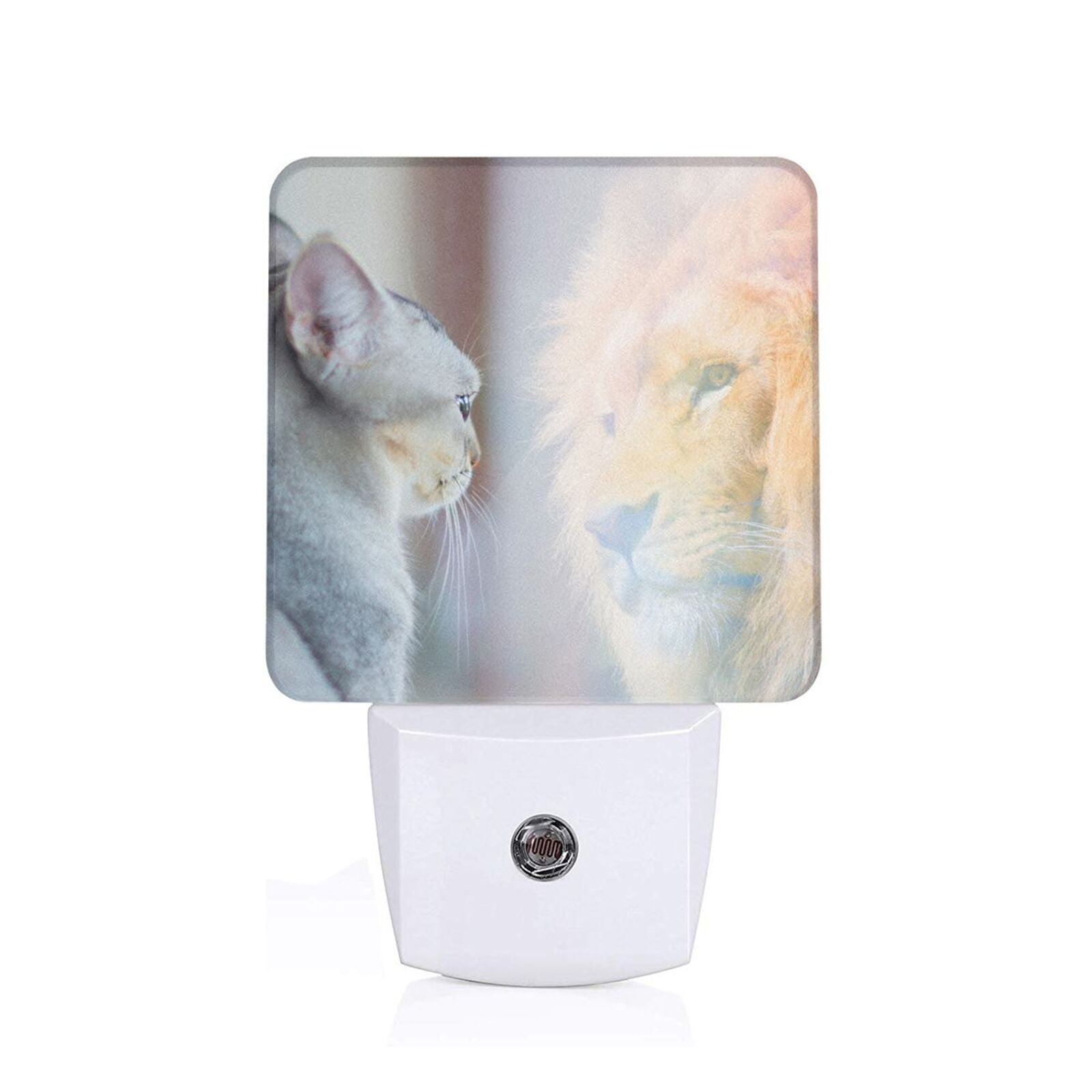 Xecao The Cat Looks in the Mirror for Night Light - a Wall-mounted LED ...