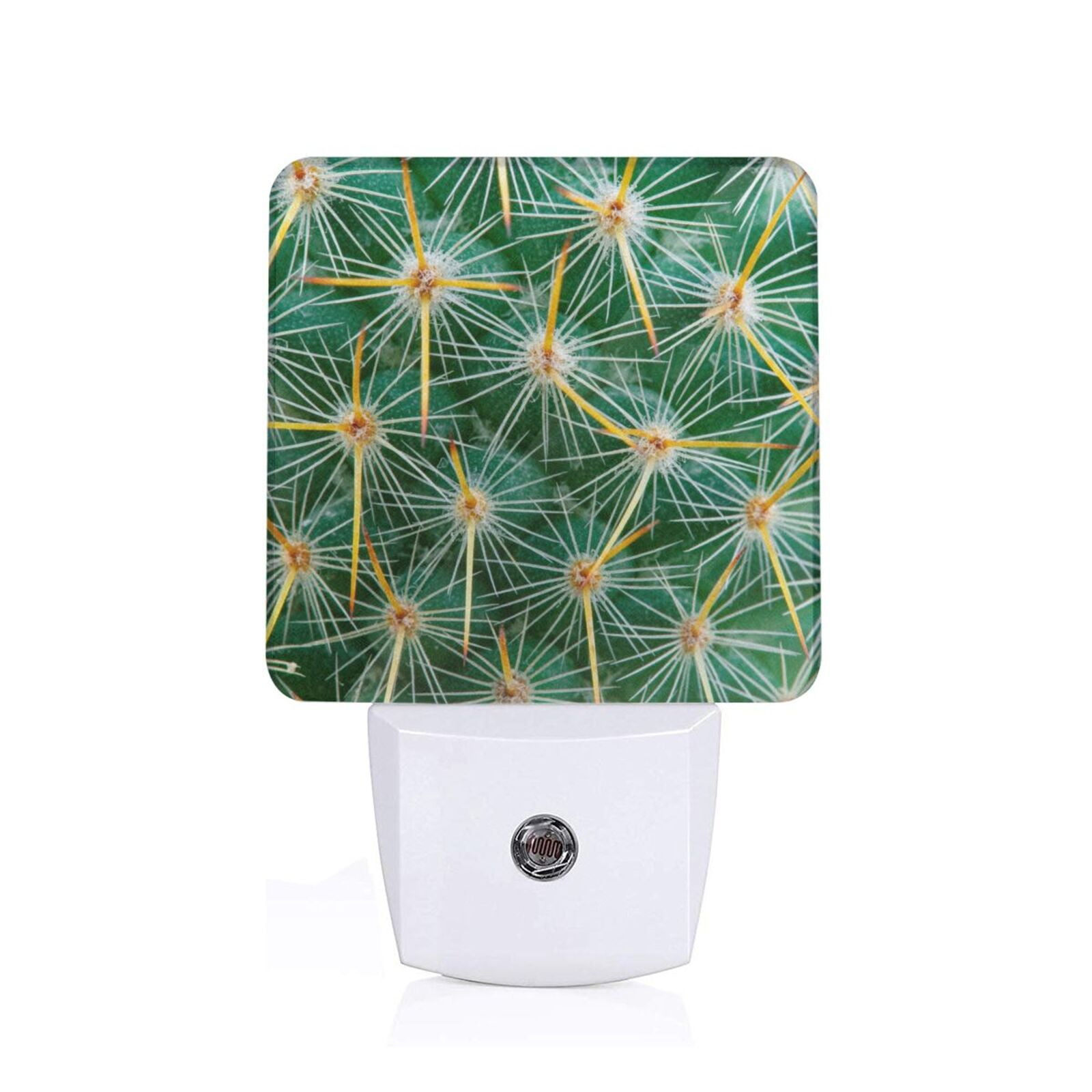 Xecao Thorns Of Macro Cactus for Night Light - a Wall-mounted LED ...